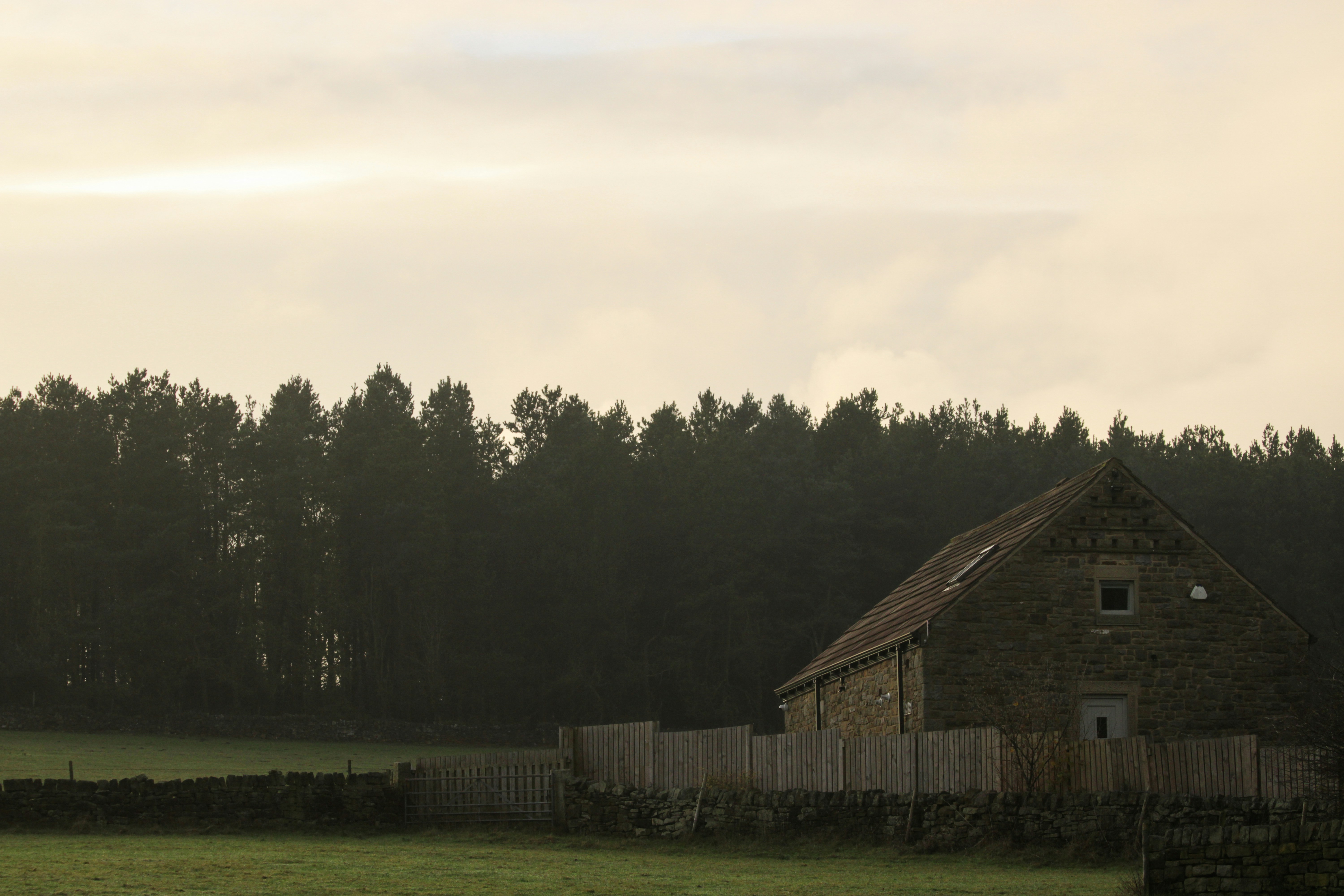 Rural Dusk: A Weathered Barn Standing Guard over a Quiet Field
