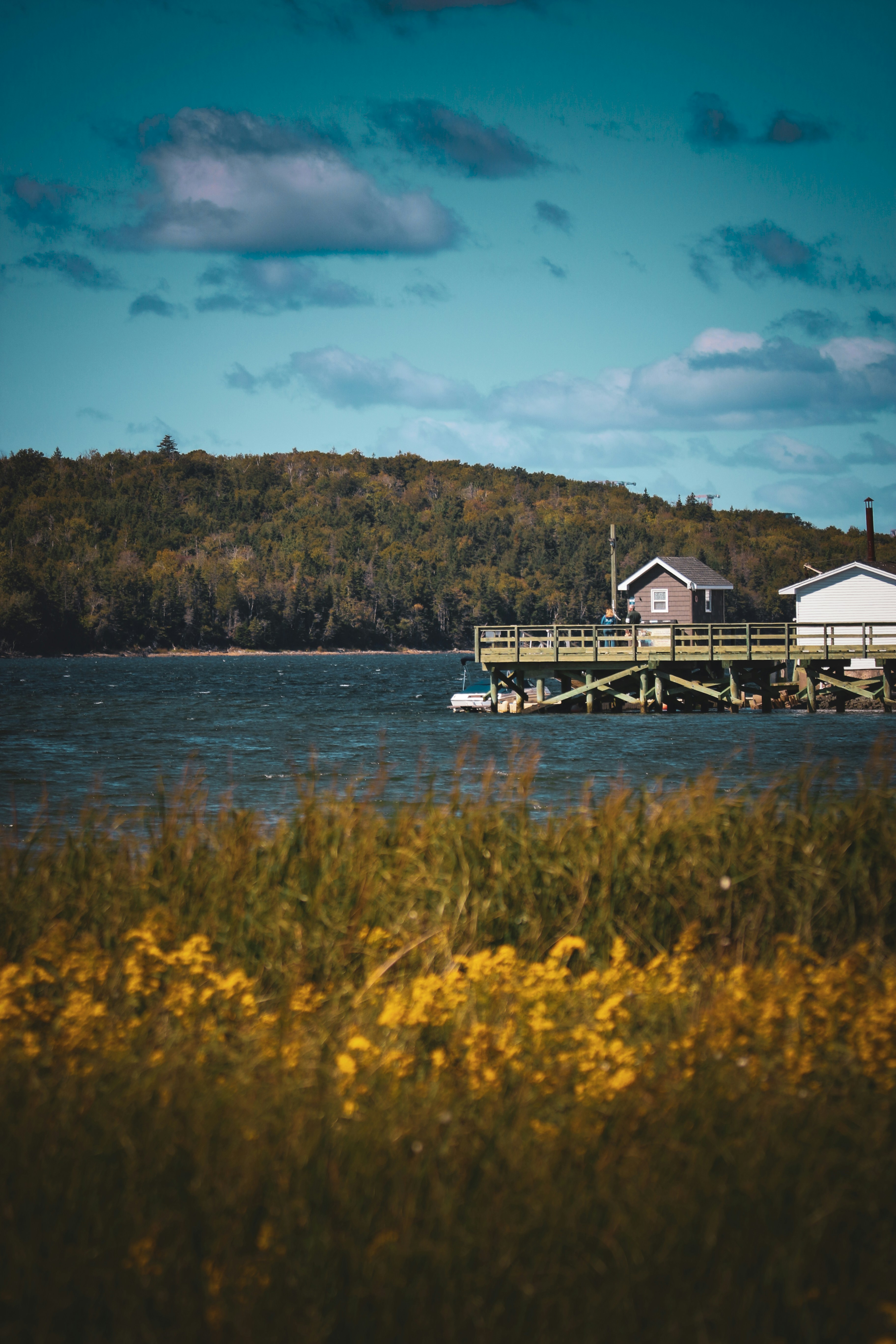 Harbor Pier at Golden Dune Light