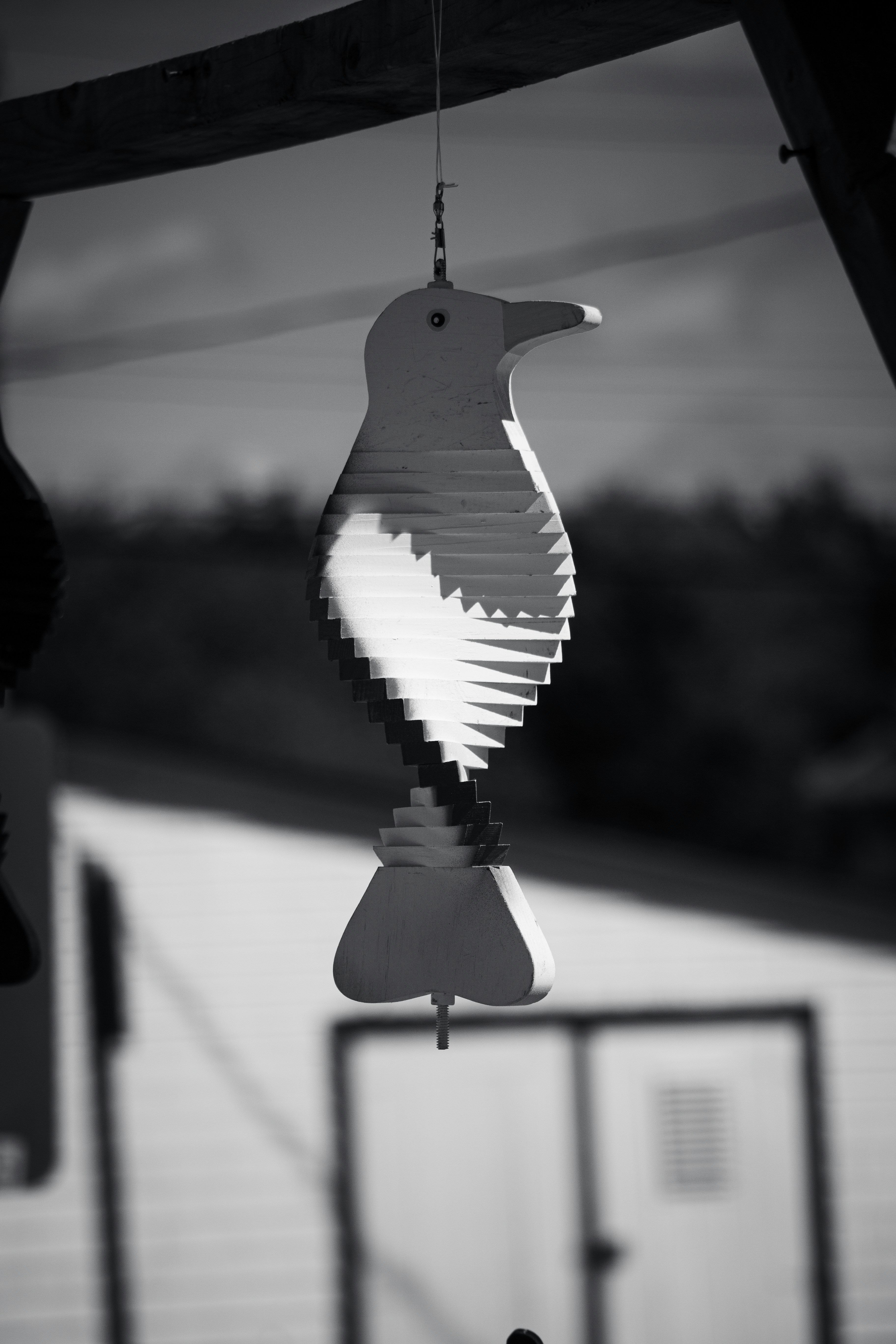 Hanging Lantern in Focus: A Spiraled Shadow Play