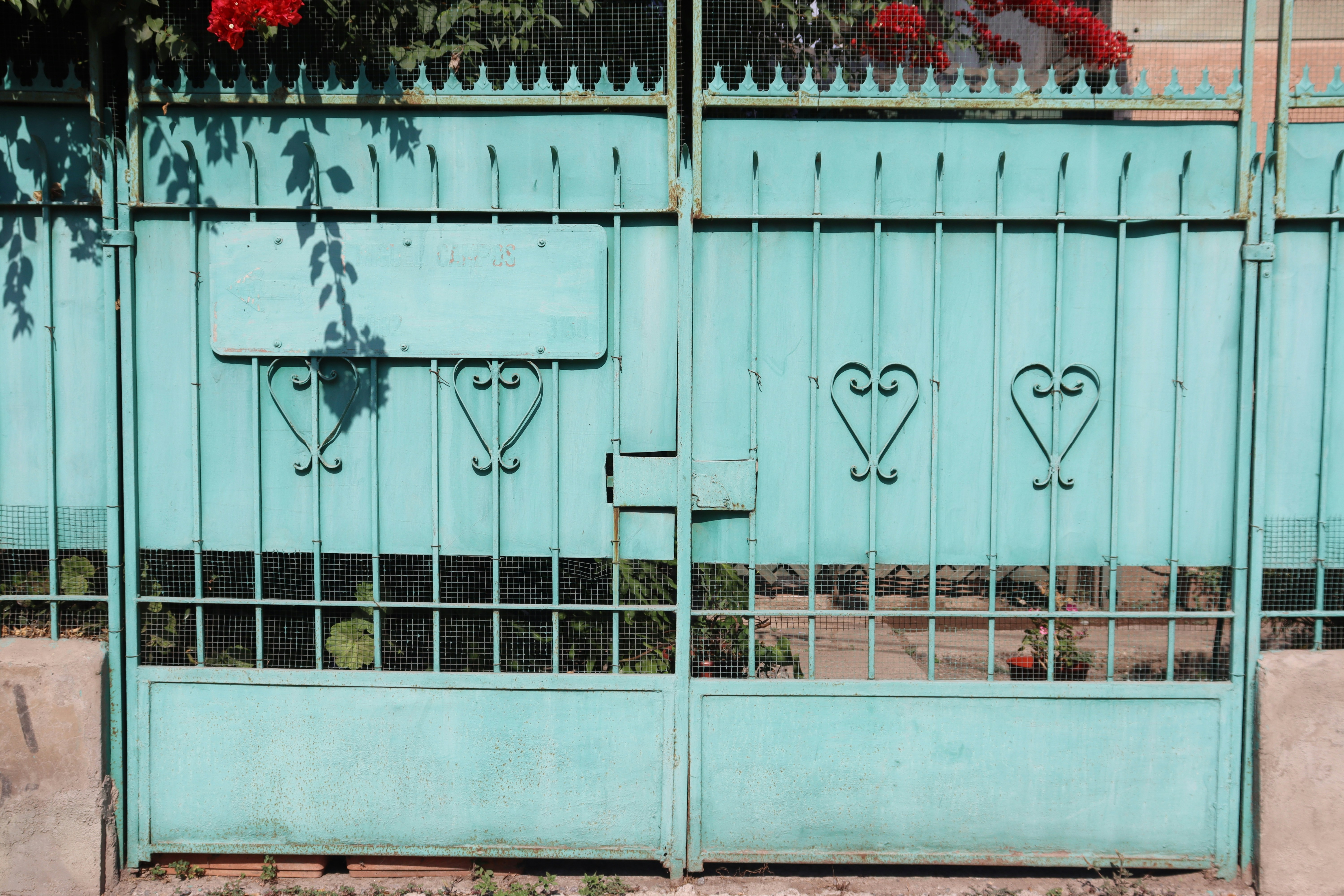 Minted Gateways: A Quiet Moment Behind Turquoise Bars