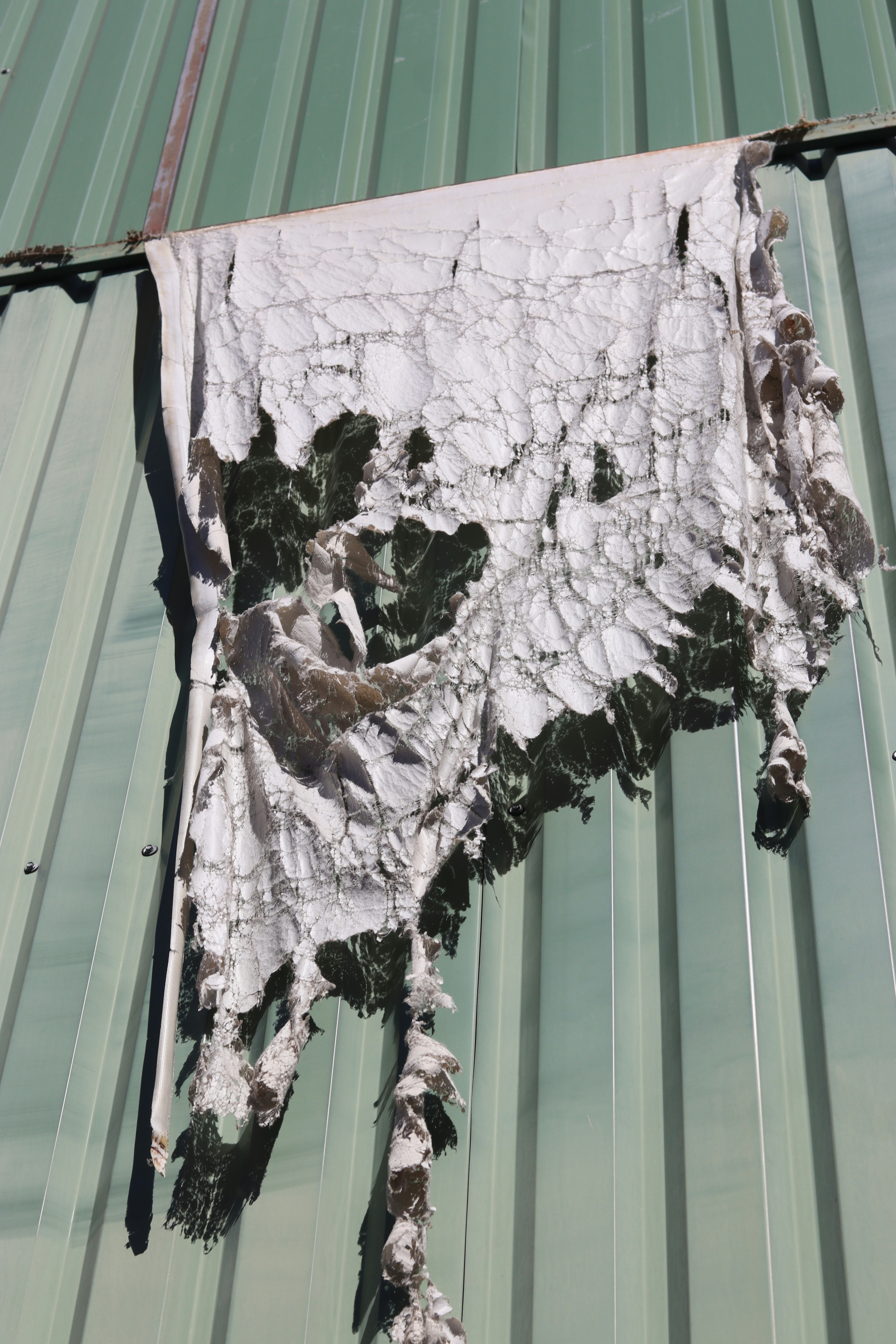 Tattered Shroud Adhered to Glass: Decay on a Green Metal Facade