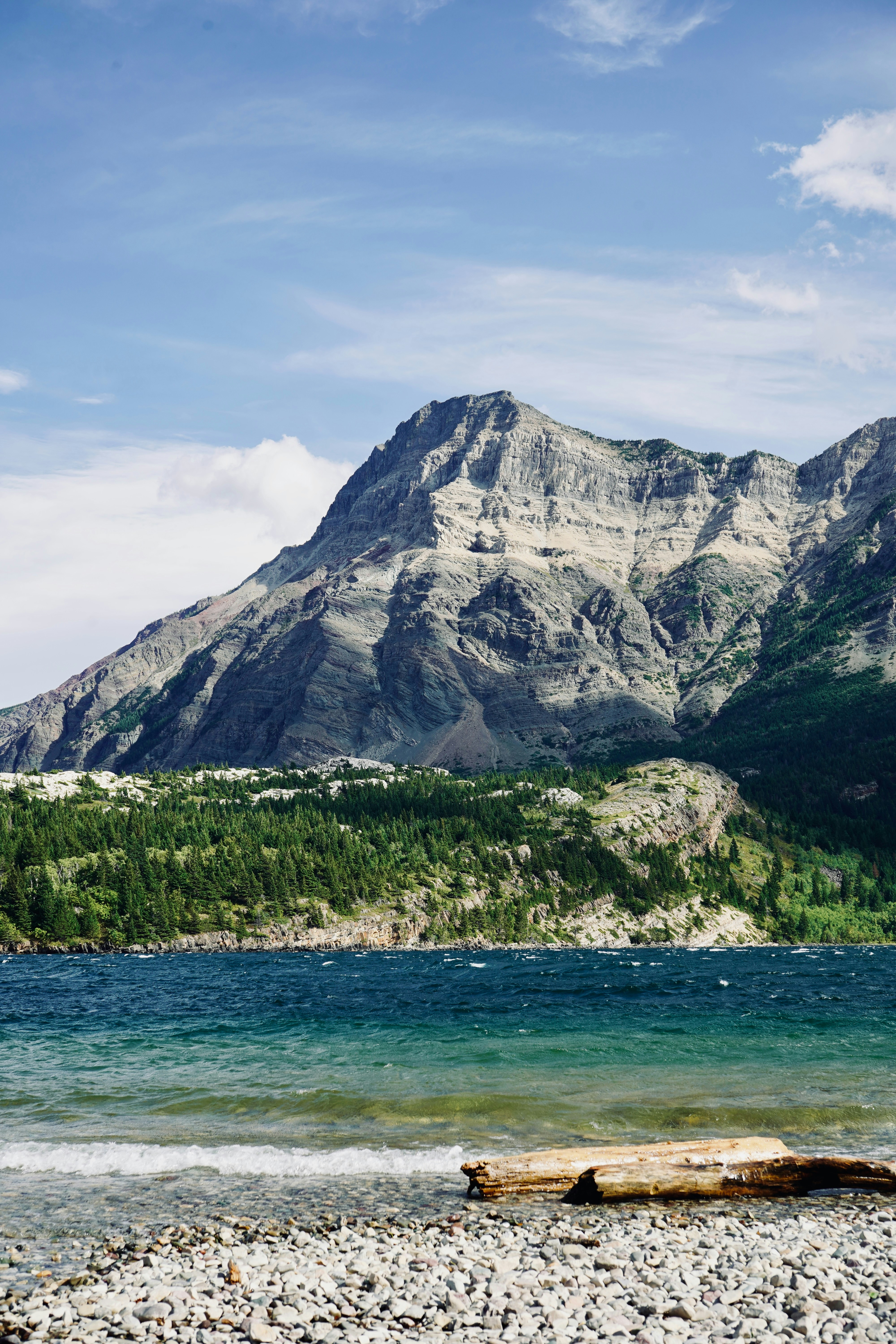 Lone Log at the Edge: Mountain Shoreline Under Clear Skies