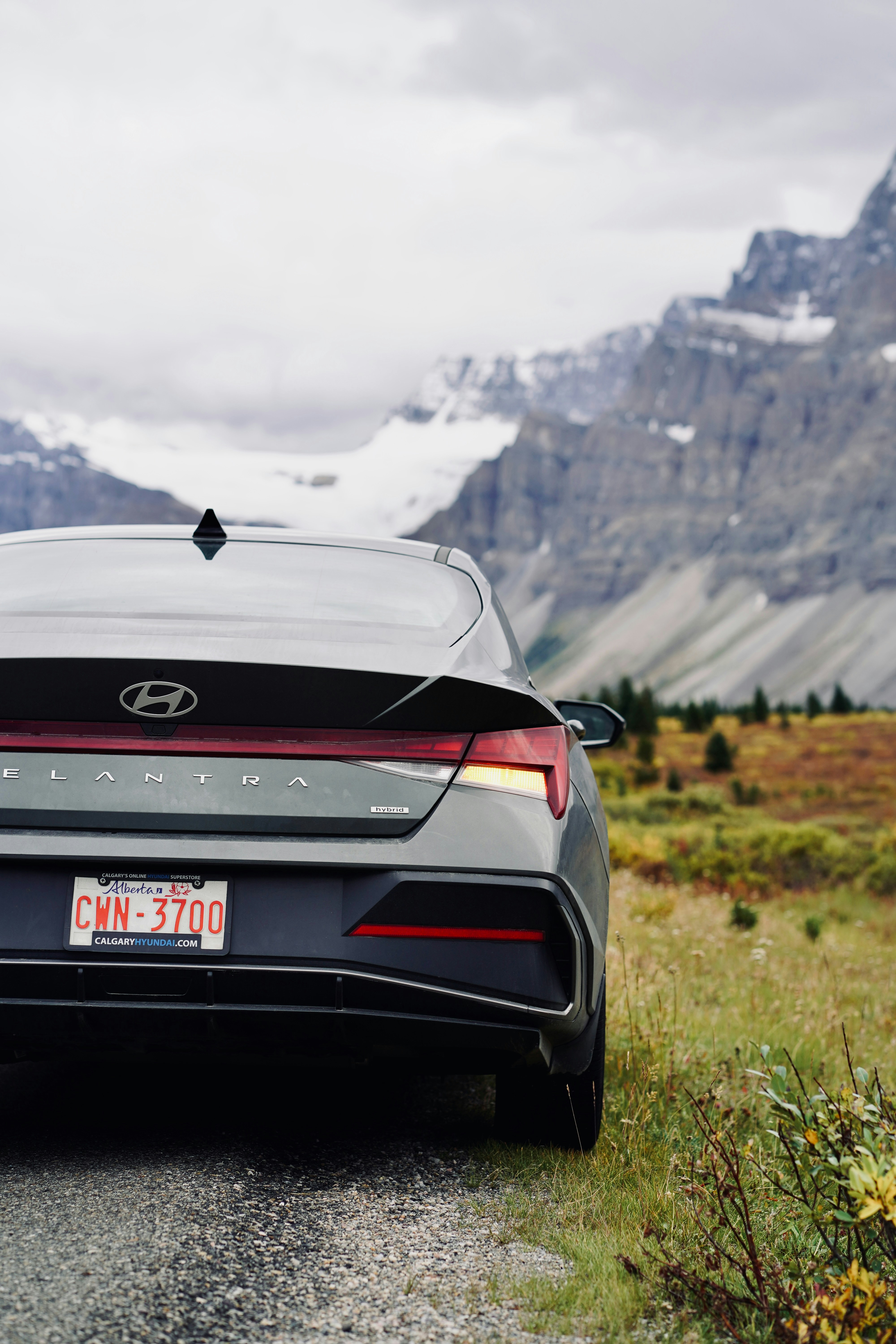 Rear View in Alpine Vista