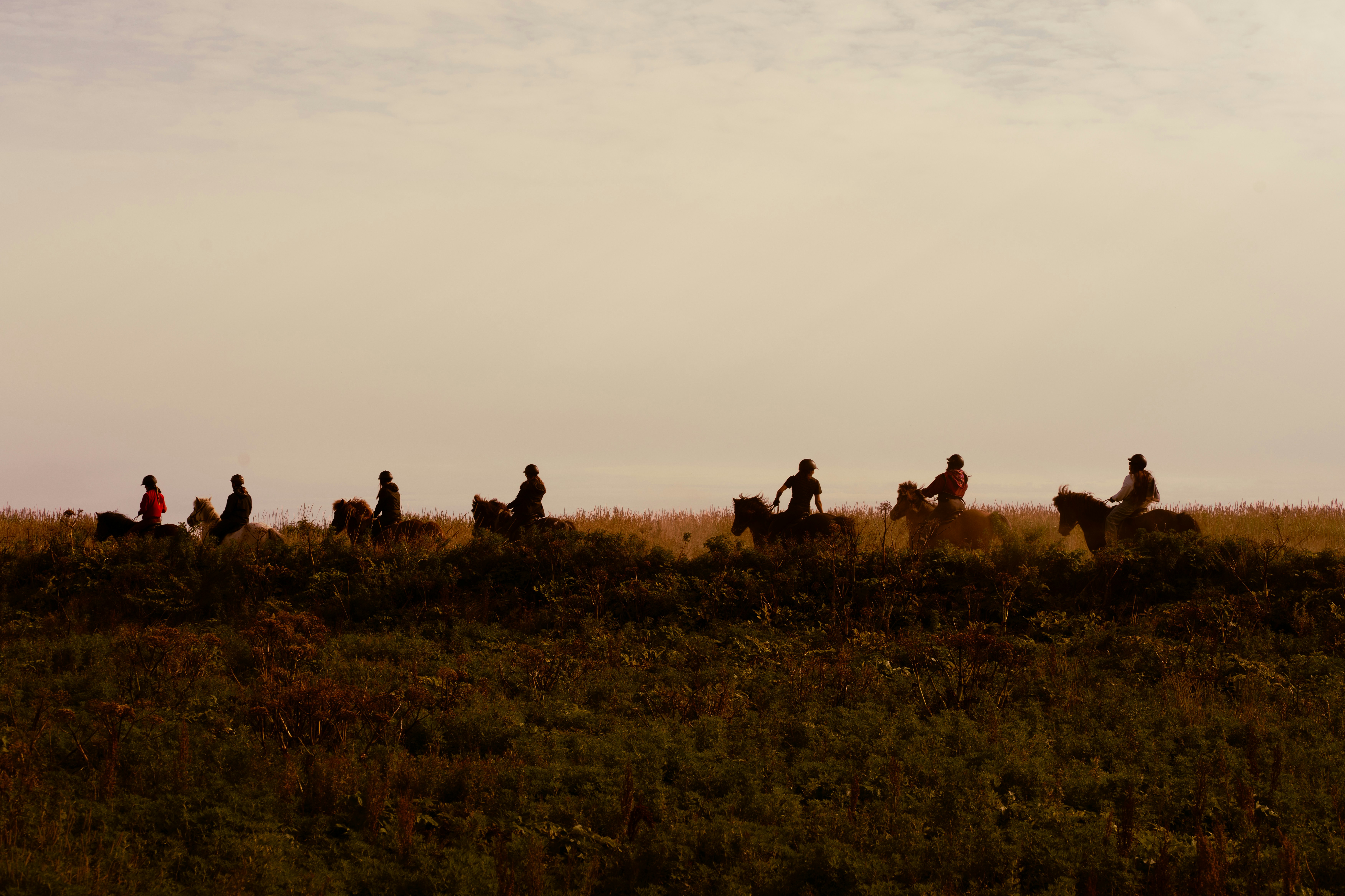 Silhouetted Caravan: Riders across a Low Prairie Horizon