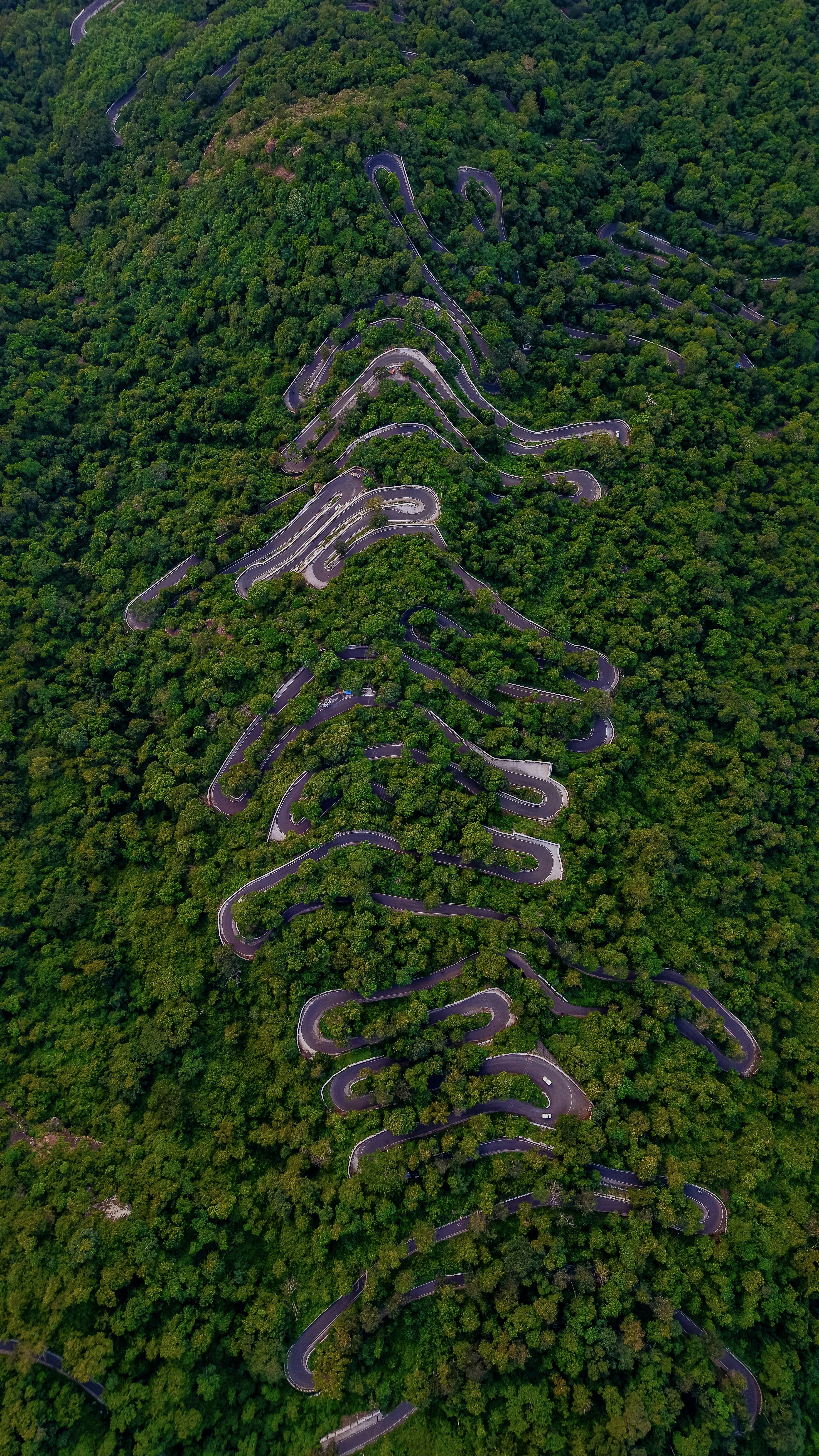 Serpentine Ascent: Aerial Ribbon of Switchbacks Through Dense Green Canopy