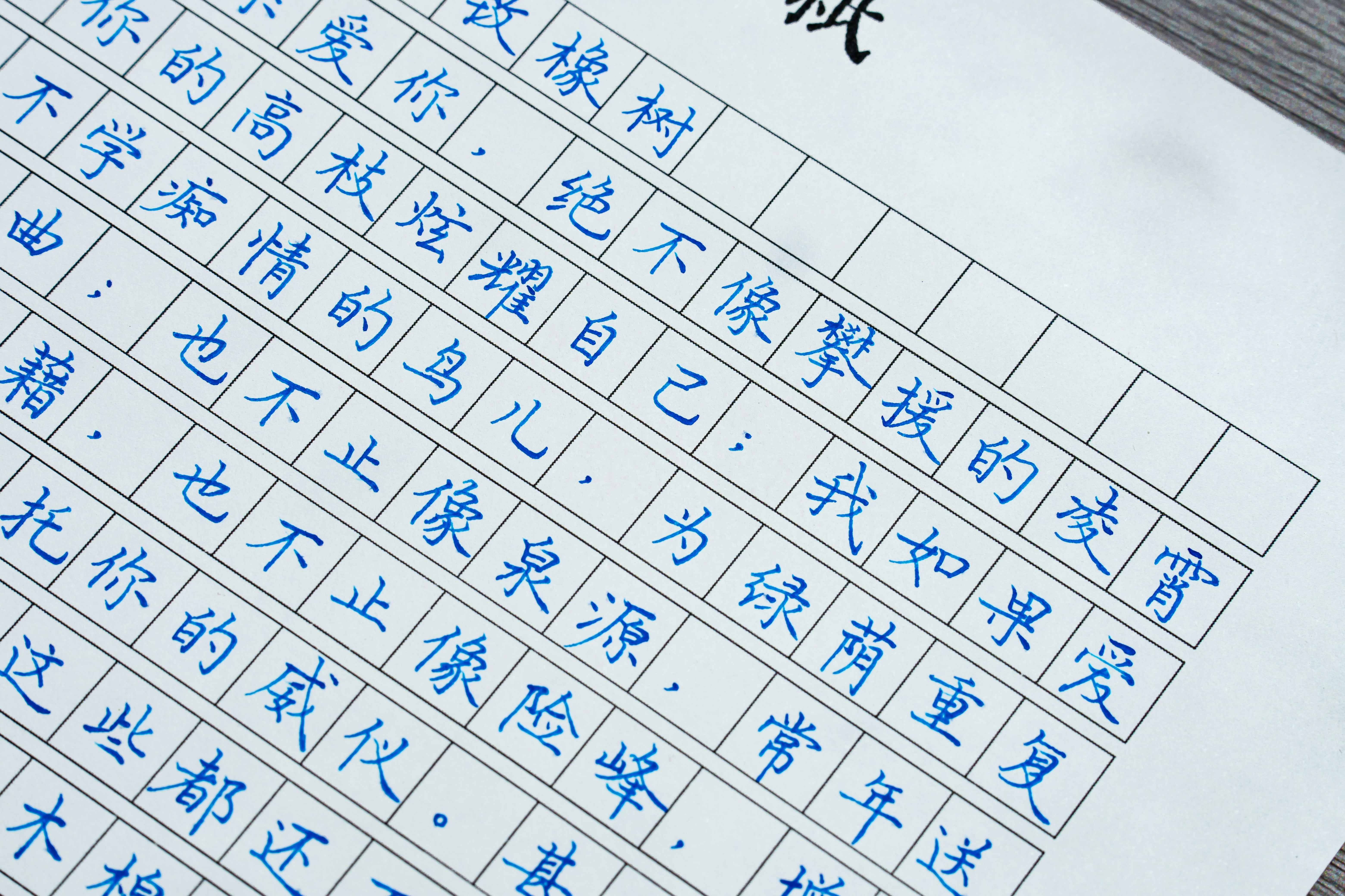 Neatly Handwritten Chinese Script Across a Gridded Page