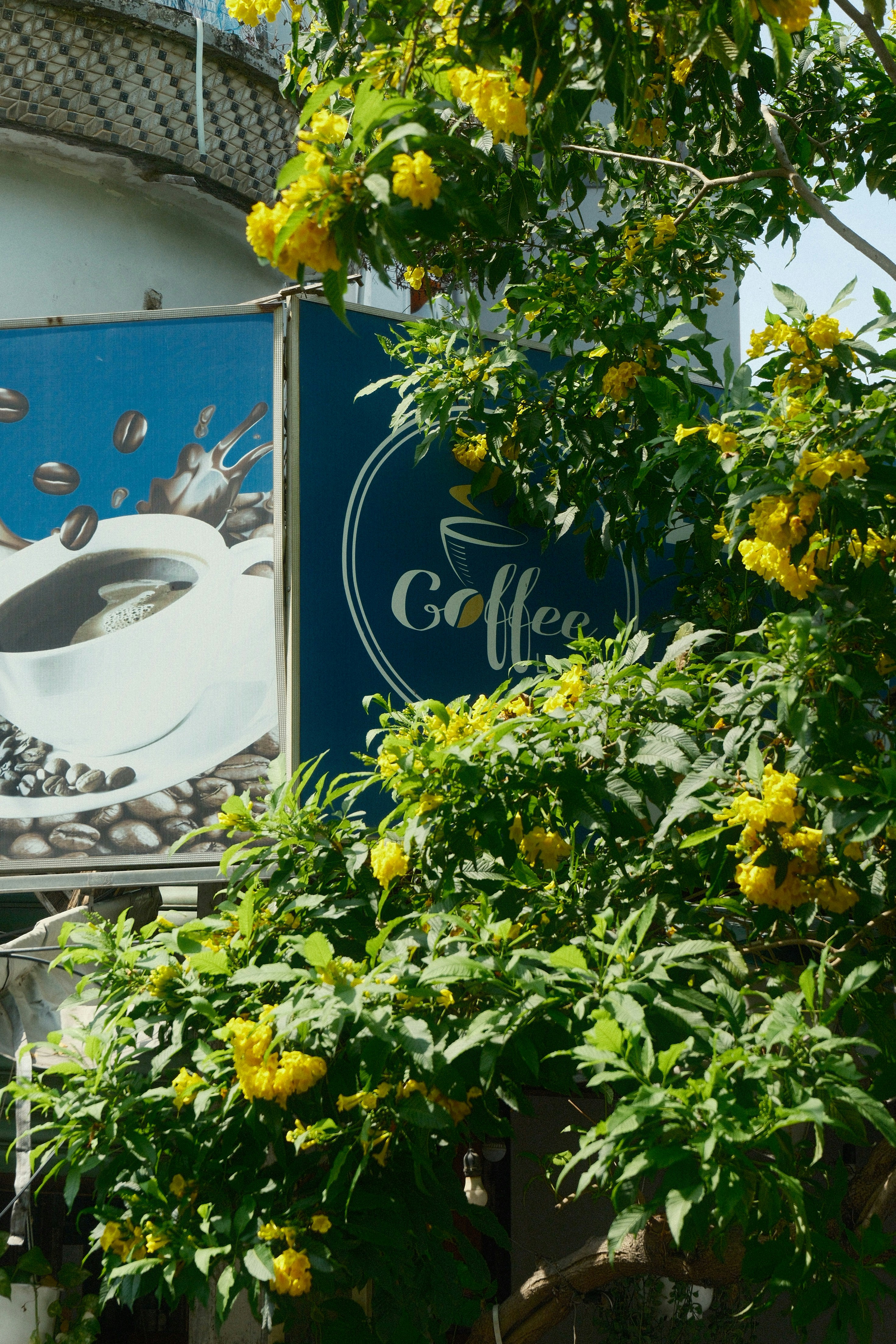 Cafe Corner in Bloom: Yellow Flowers Framing a Coffee Sign