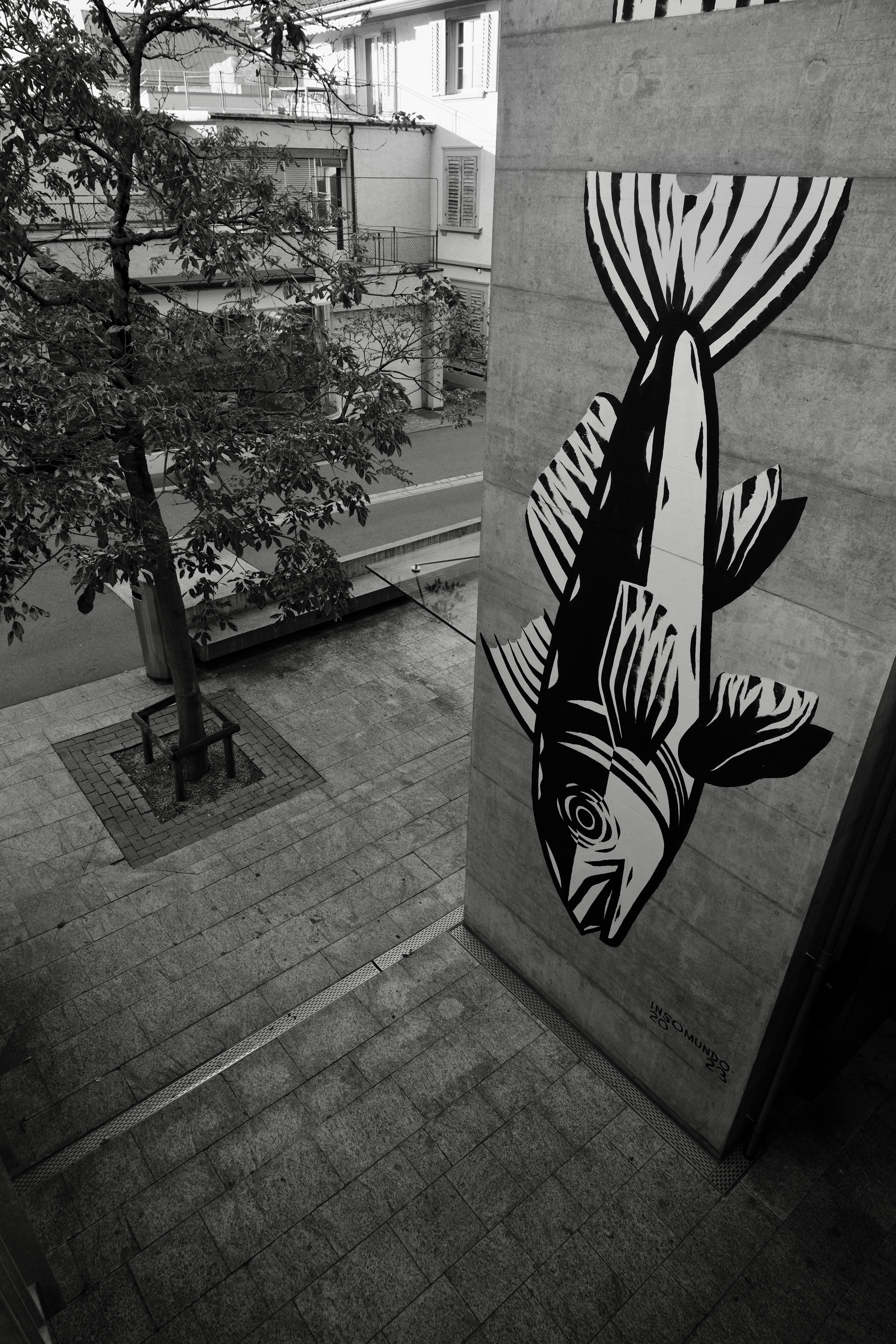 Photo by Yves Ramseyer with Fujifilm X-M5