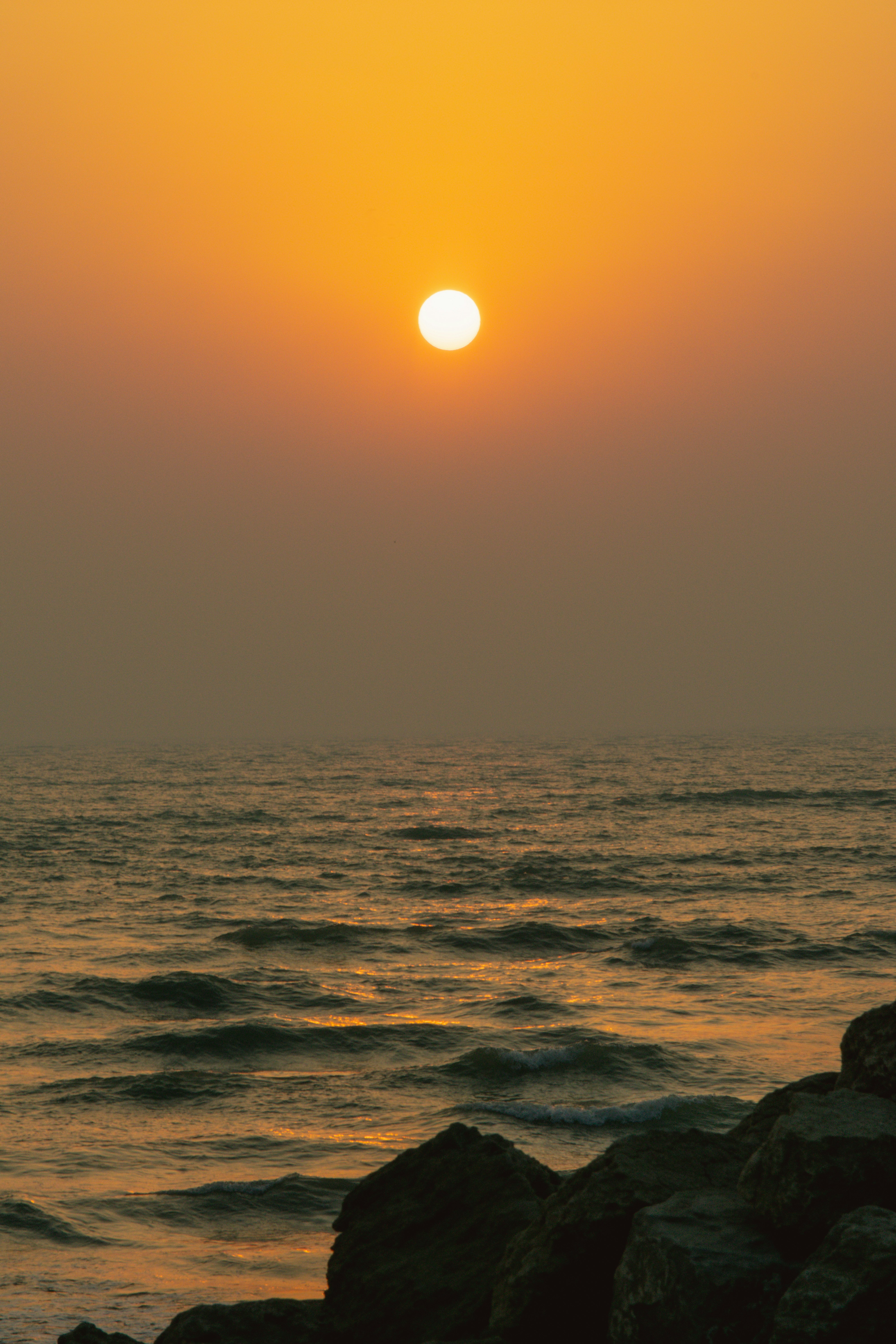 Sunlit Serenity over a Quiet Sea