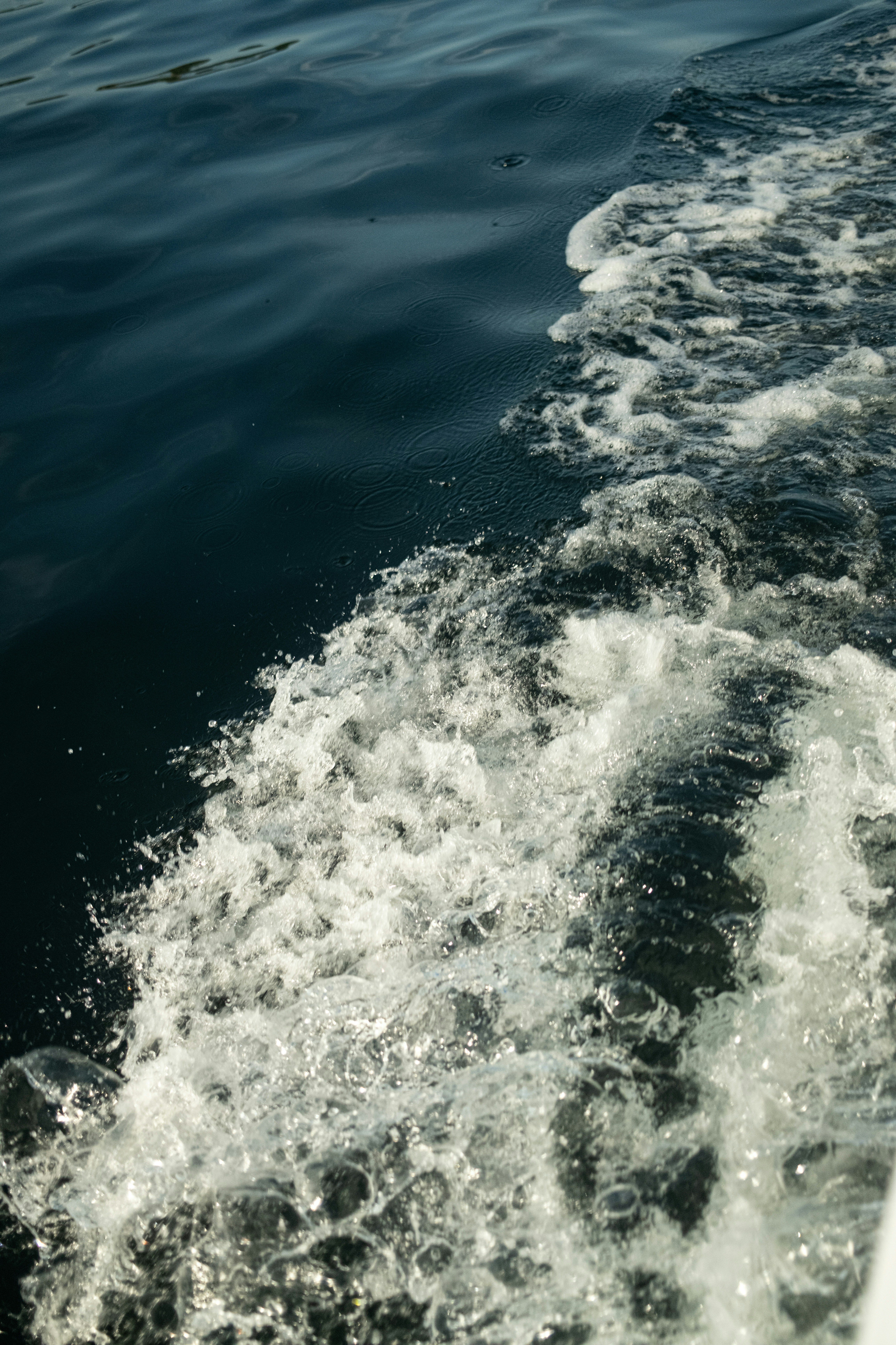 Wake Line: The Quiet Boundary Between Sea and Foam