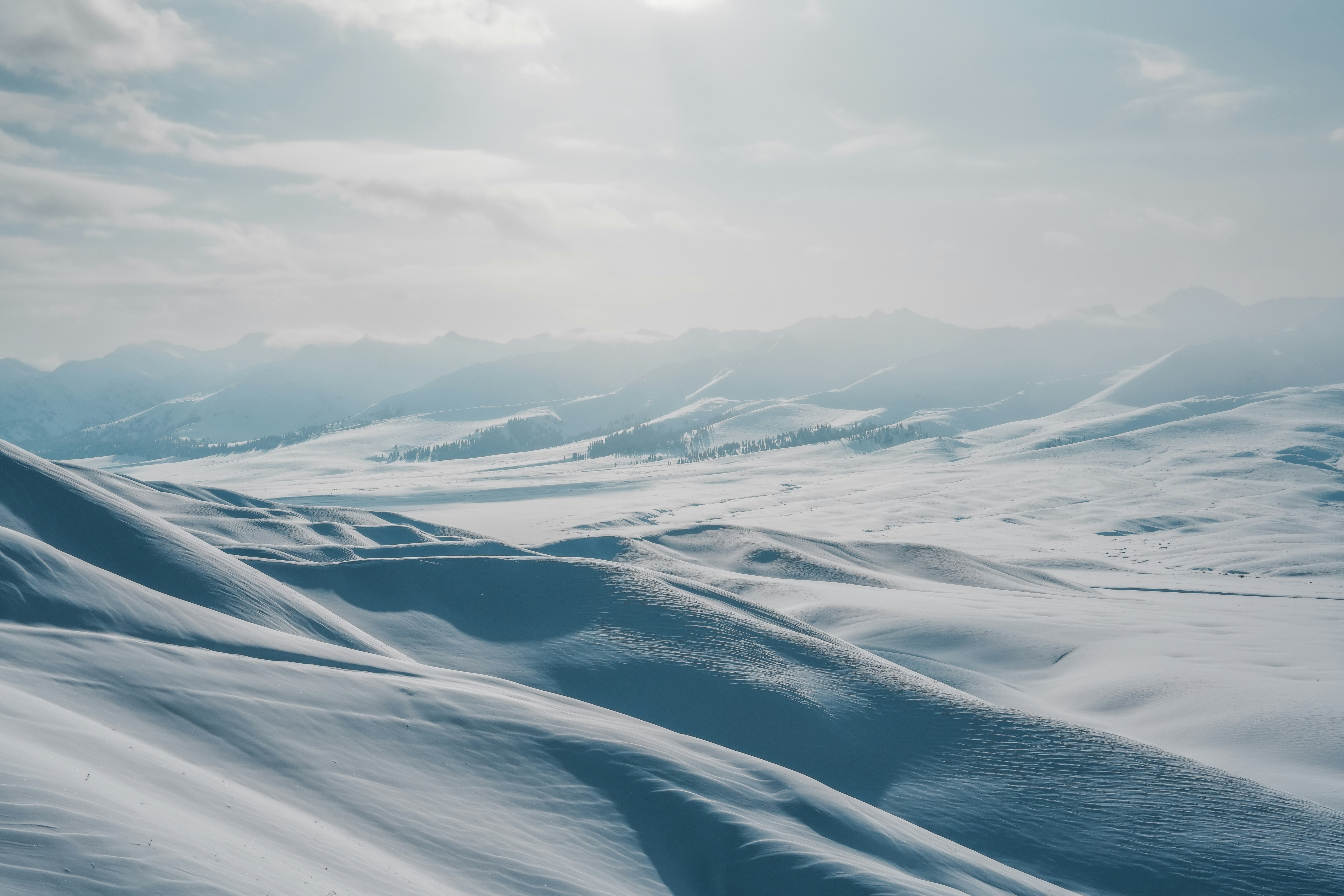 Whispering Dunes Under Pale Winter Light