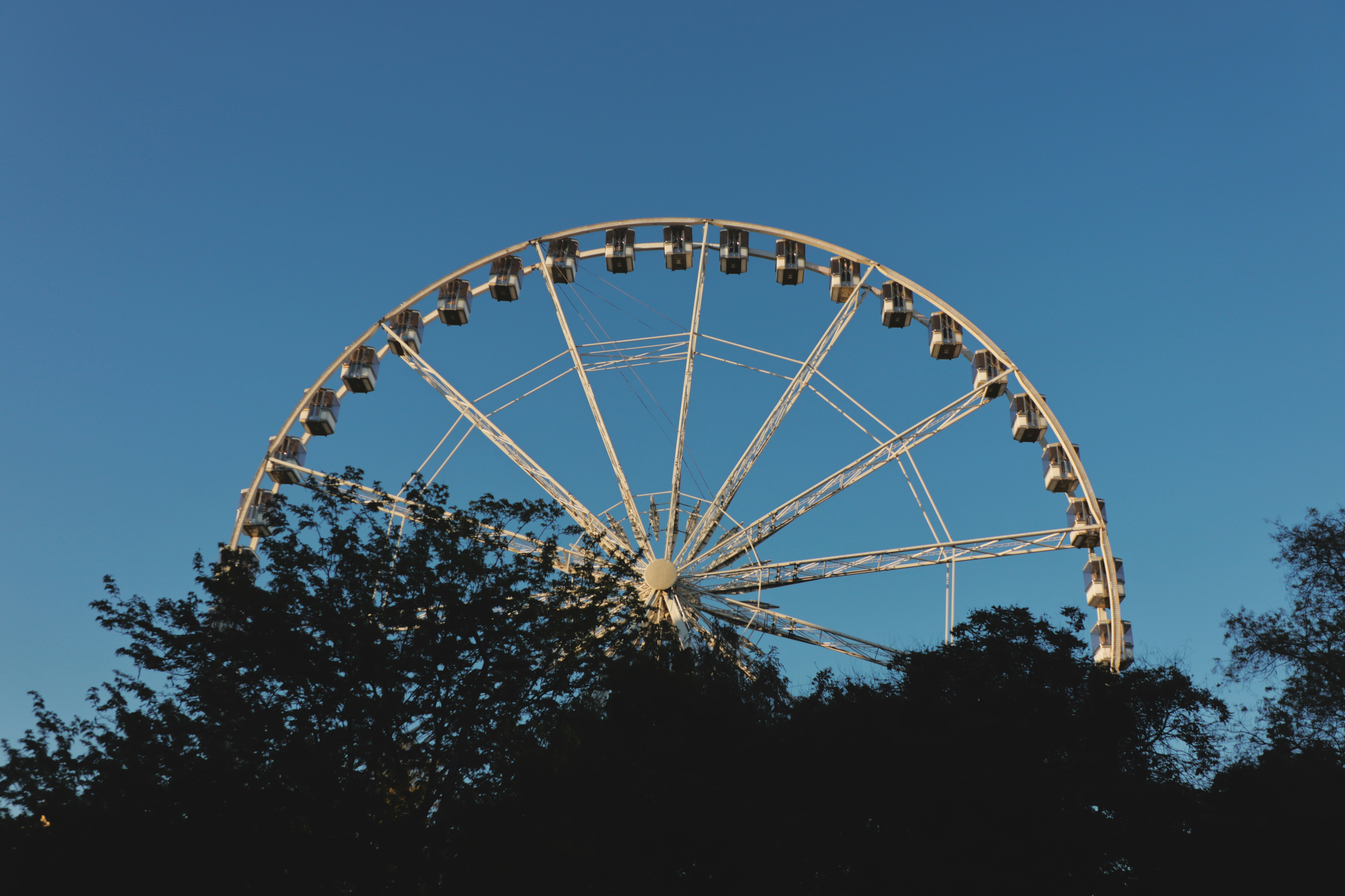 Ferris wheel peeks above treetops against a clear blue sky, silhouetting the ride's structure and passengers in morning light.