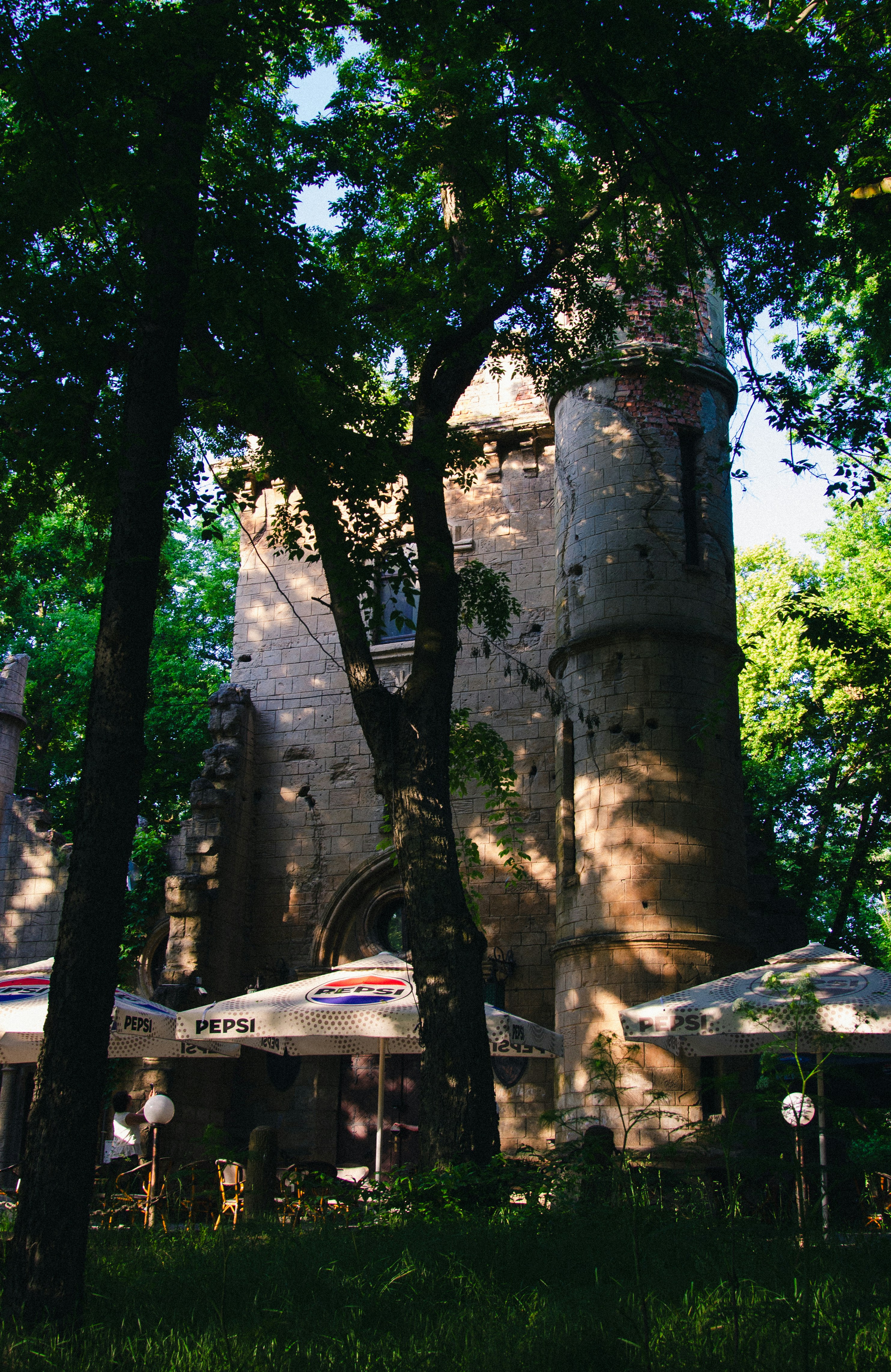 Castle Monolith Amid Forest Cast Shadows