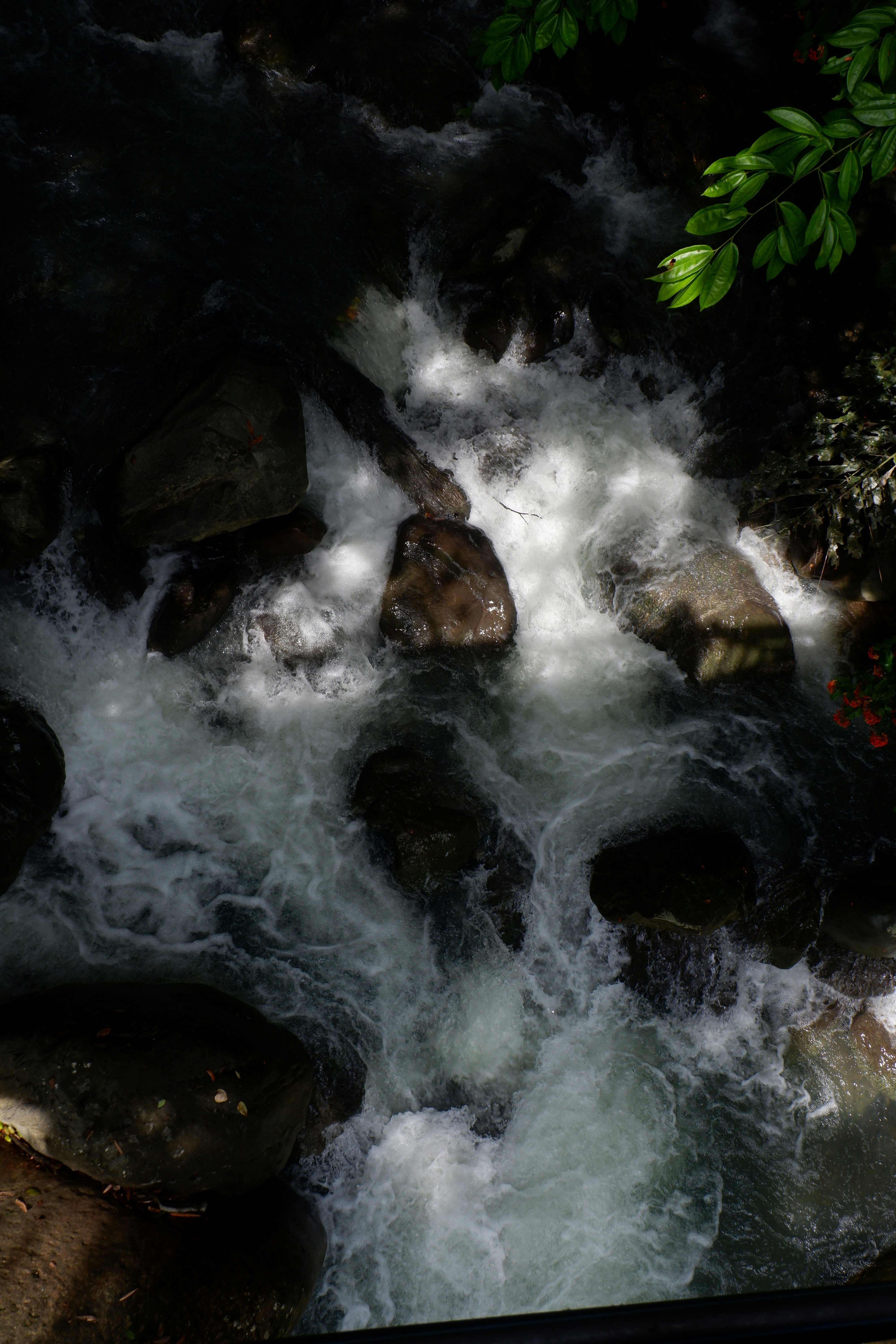 Rushing Currents Over Weathered Stones