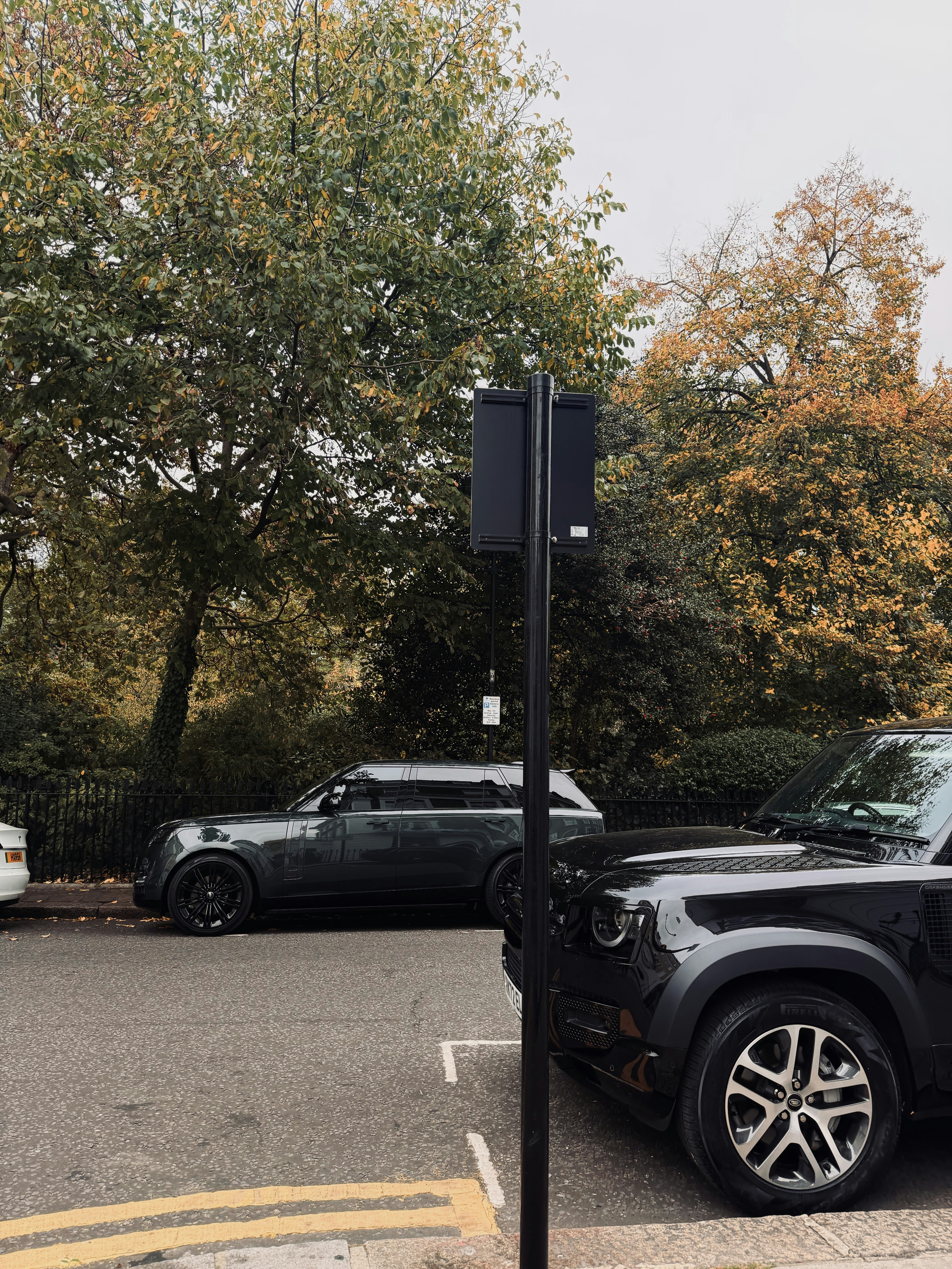 Streetline Encounter: Parked SUVs Framed by Autumn Trees