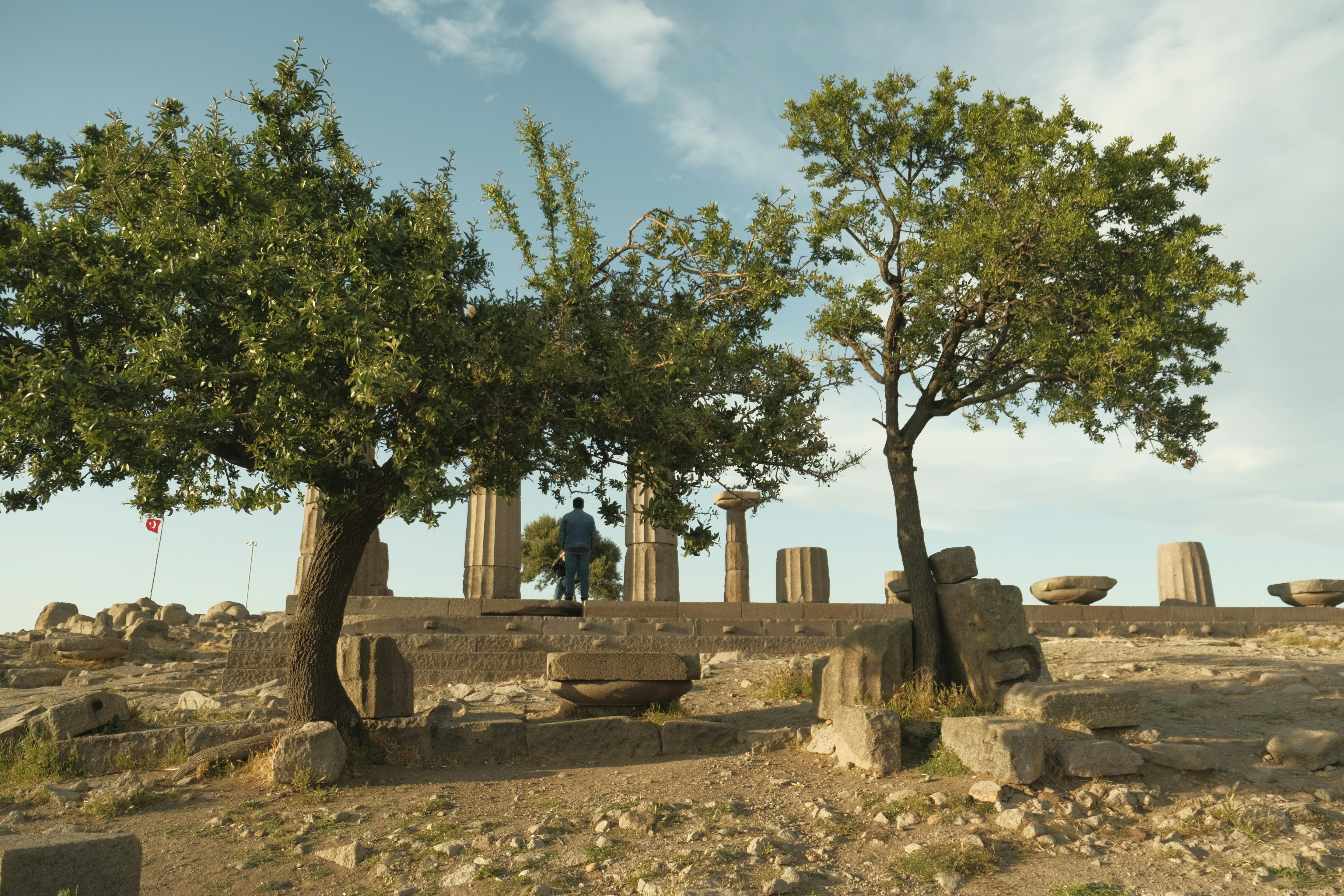 Ancient Steps and Silent Visitors at Dawn