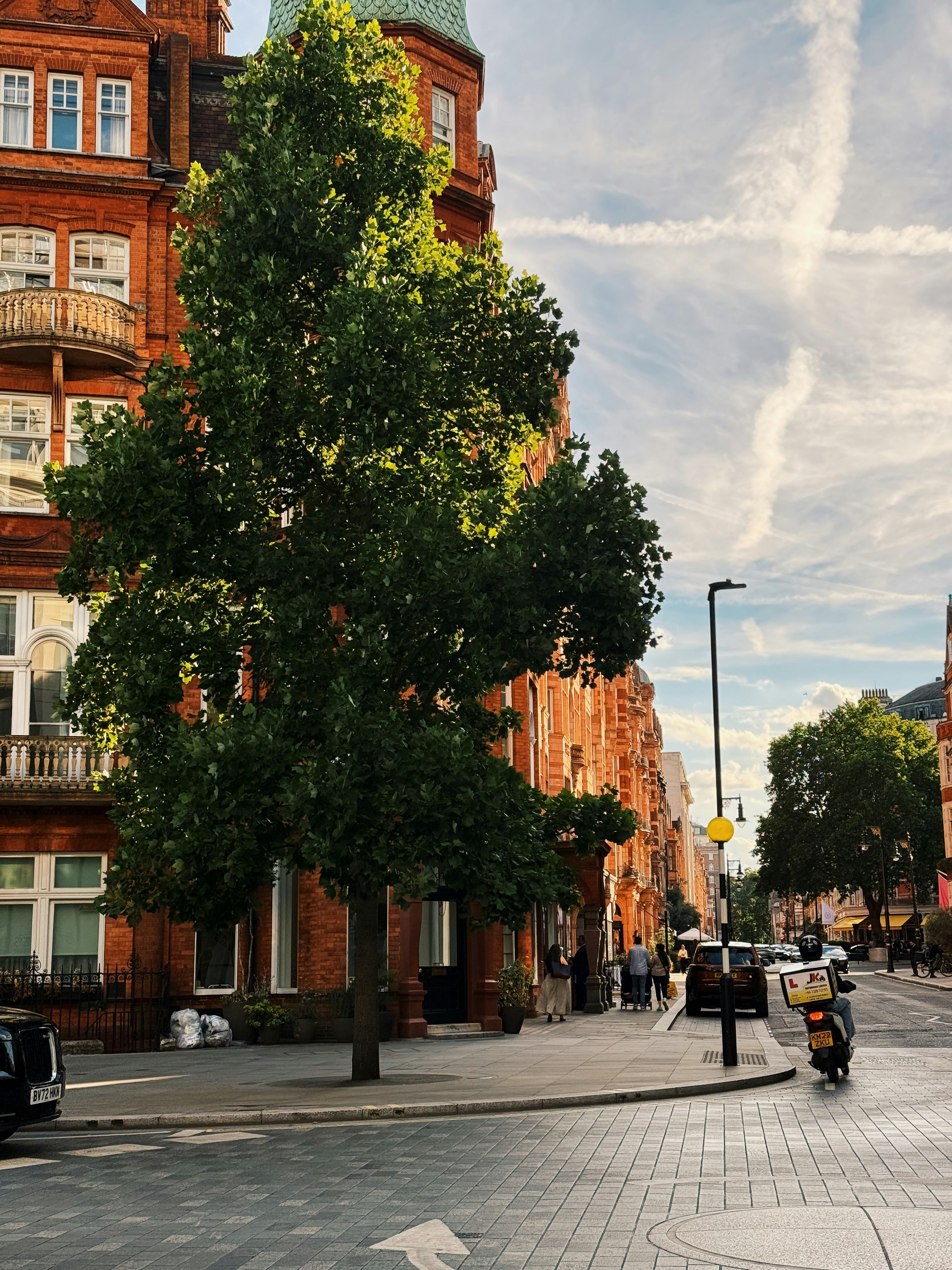 Red-brick Street Scene Framed by a Lush Tree