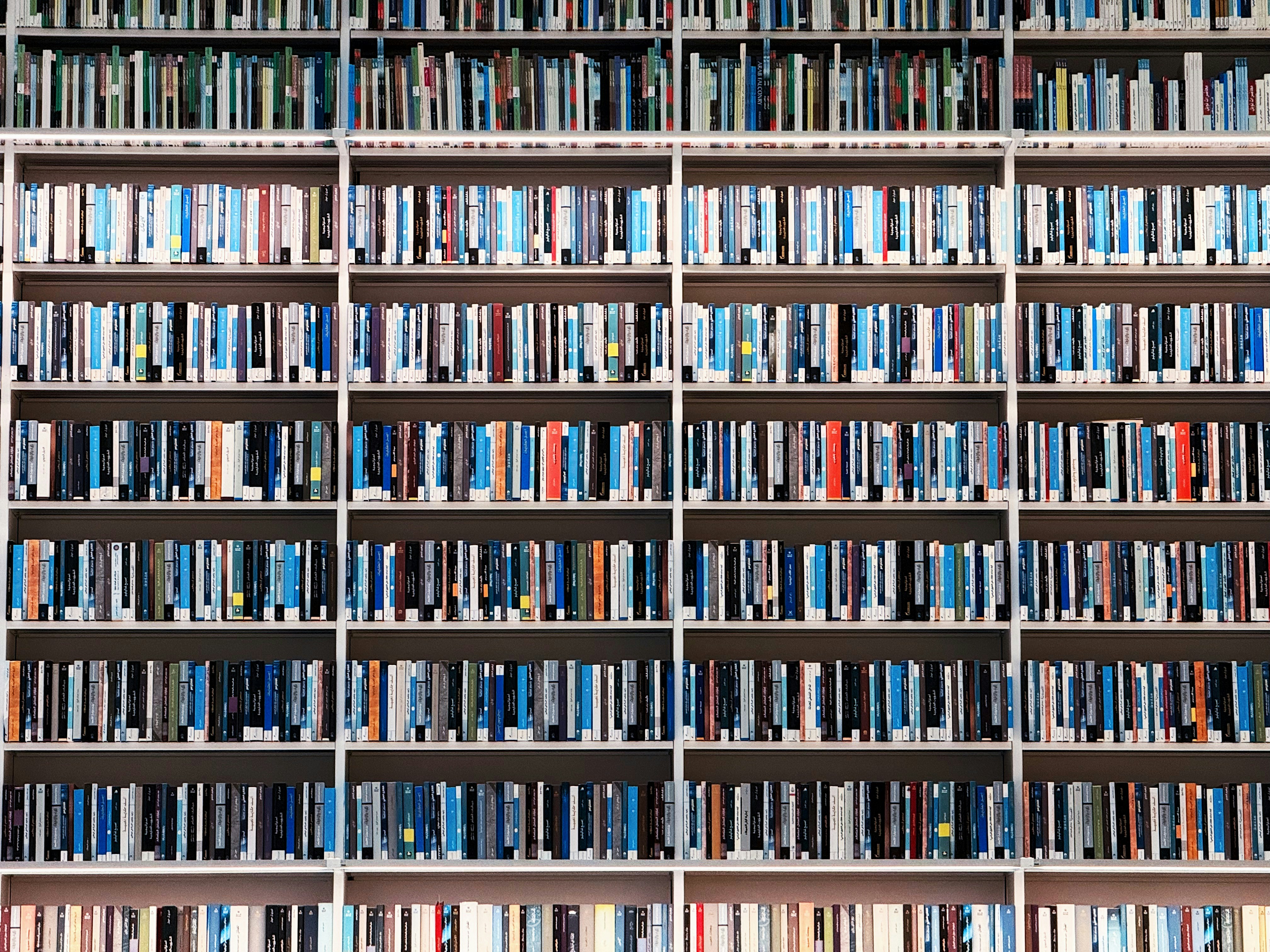 Infinite Aisle: Books on Shelves Beyond Reach