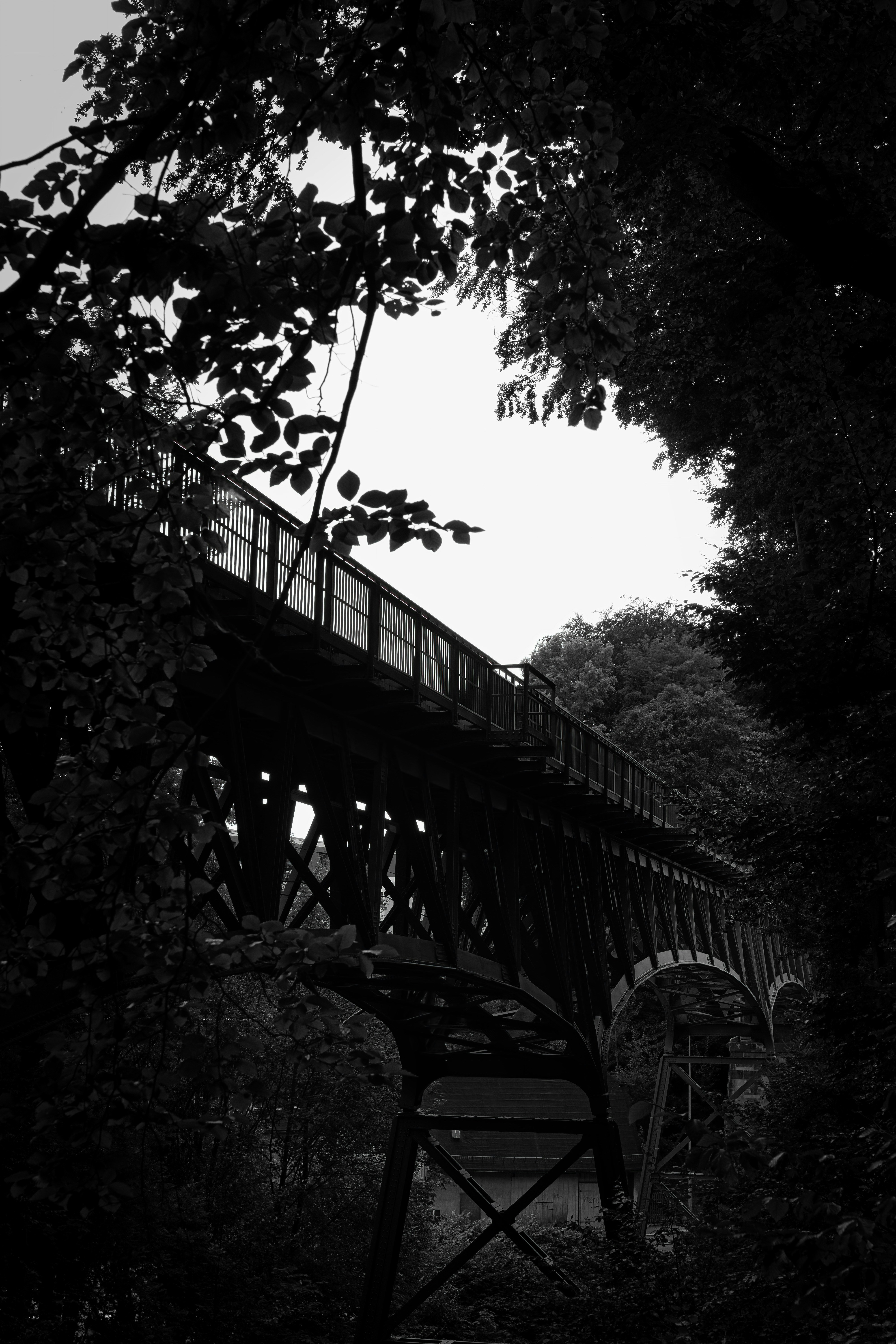 Monochrome scene of a steel railway trestle cutting through dense foliage, with dramatic contrast between bright sky and dark structure. The bridge dominates the composition as trees frame the scene.