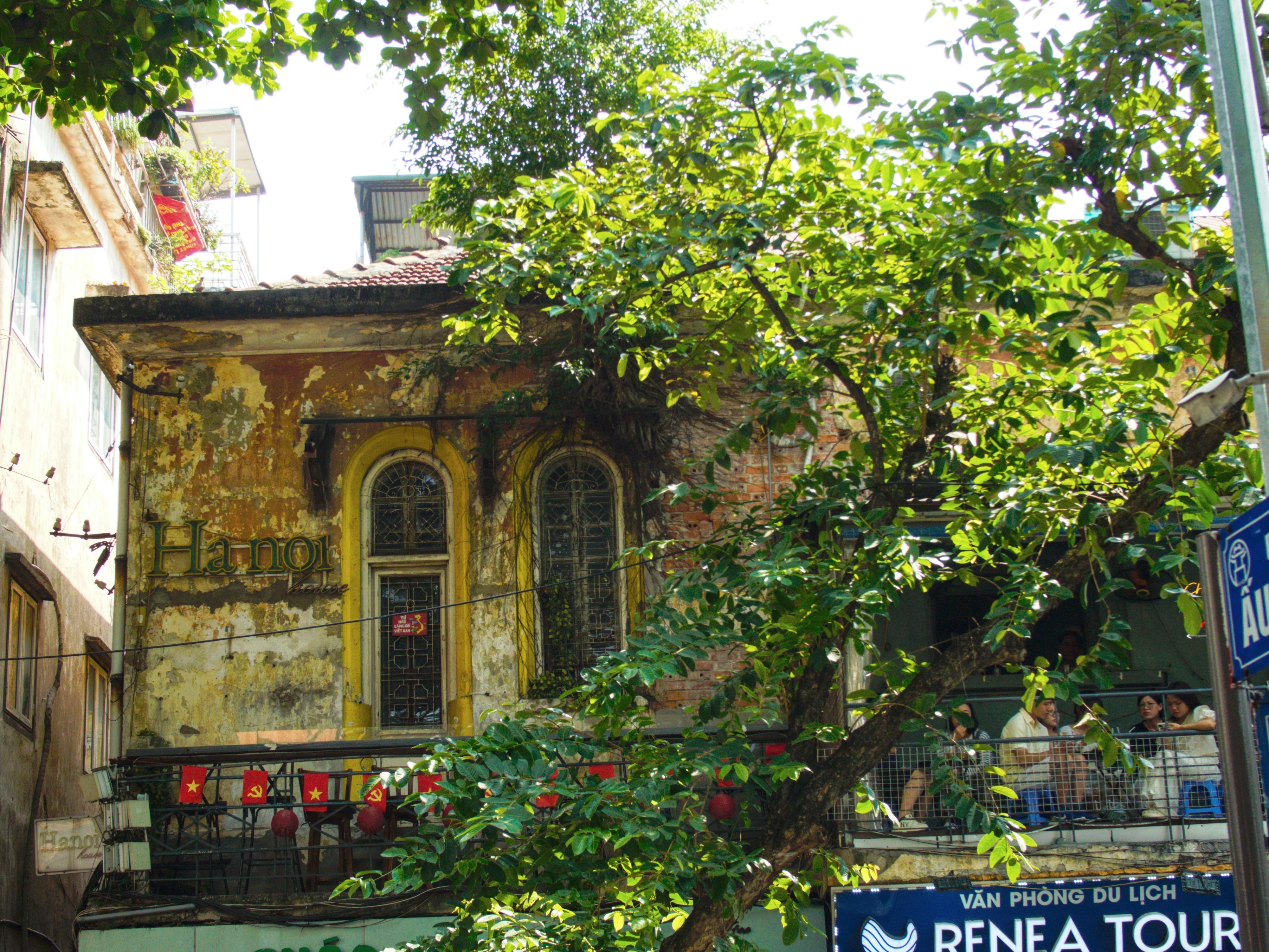 Sunlit Facade in a Lush Urban Corridor