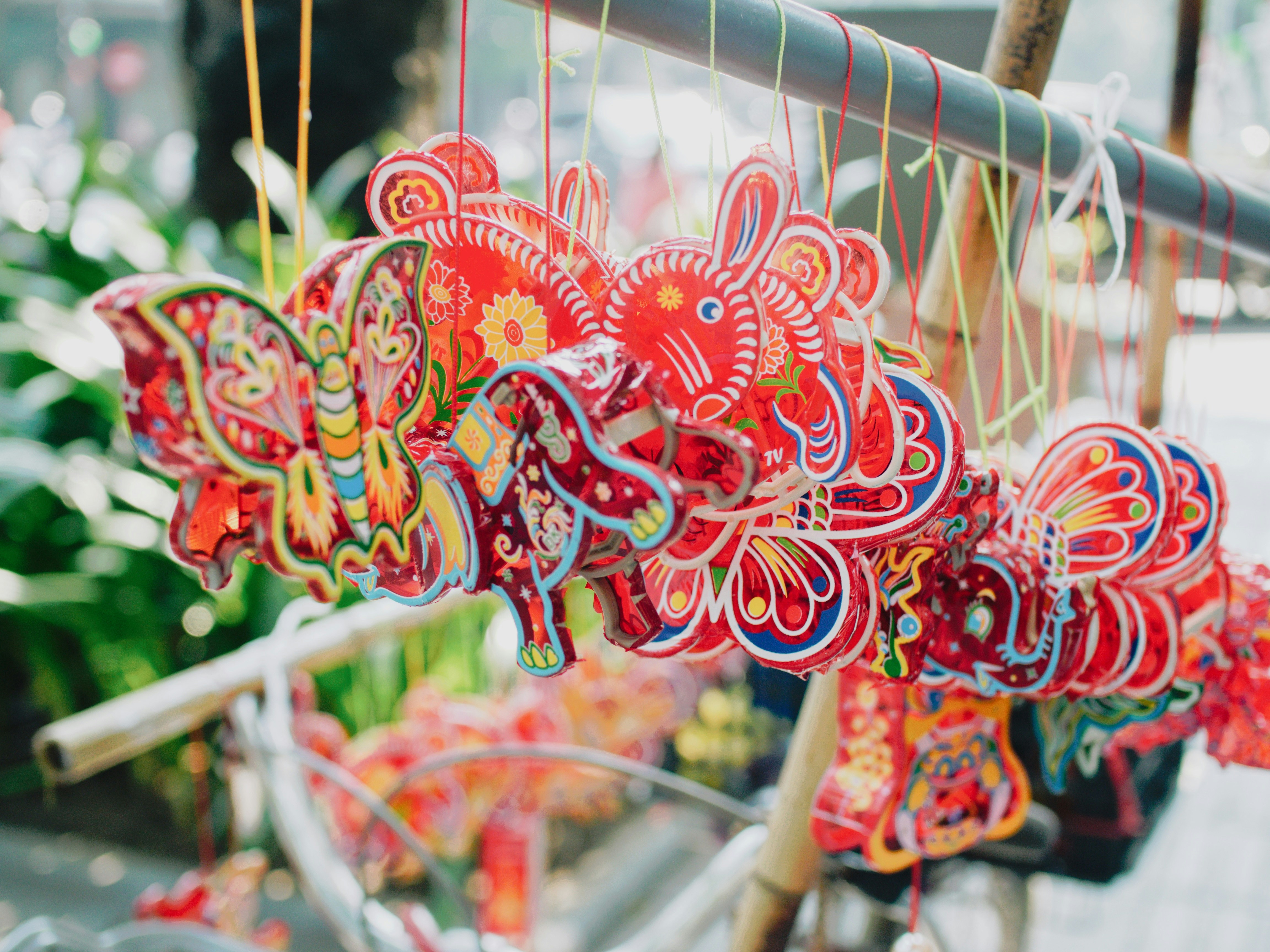 Photo by fishy fishy with Olympus OM-D E-M5 Mark II