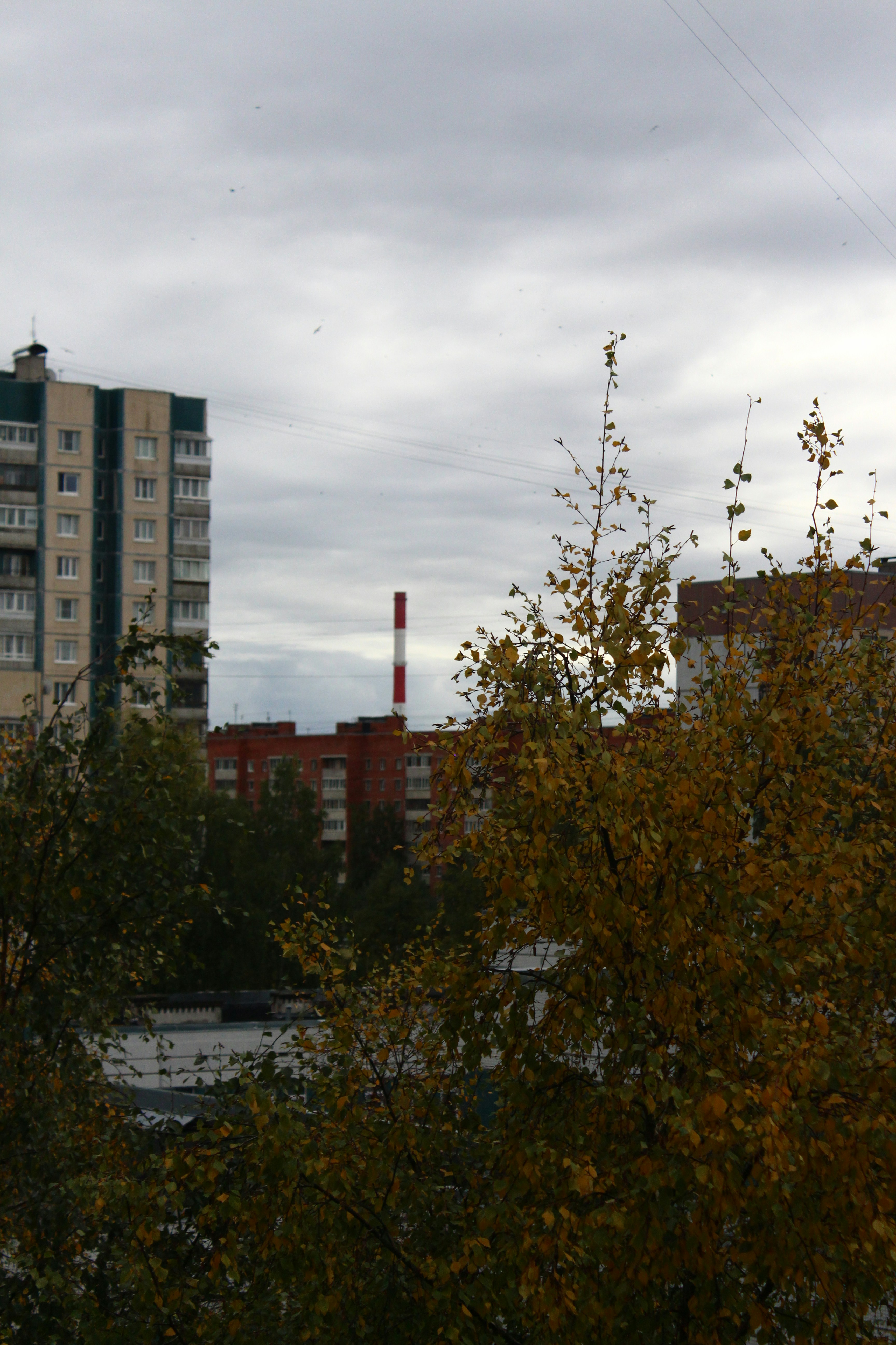 Autumn City Silhouette Beneath a Cloudy Sky