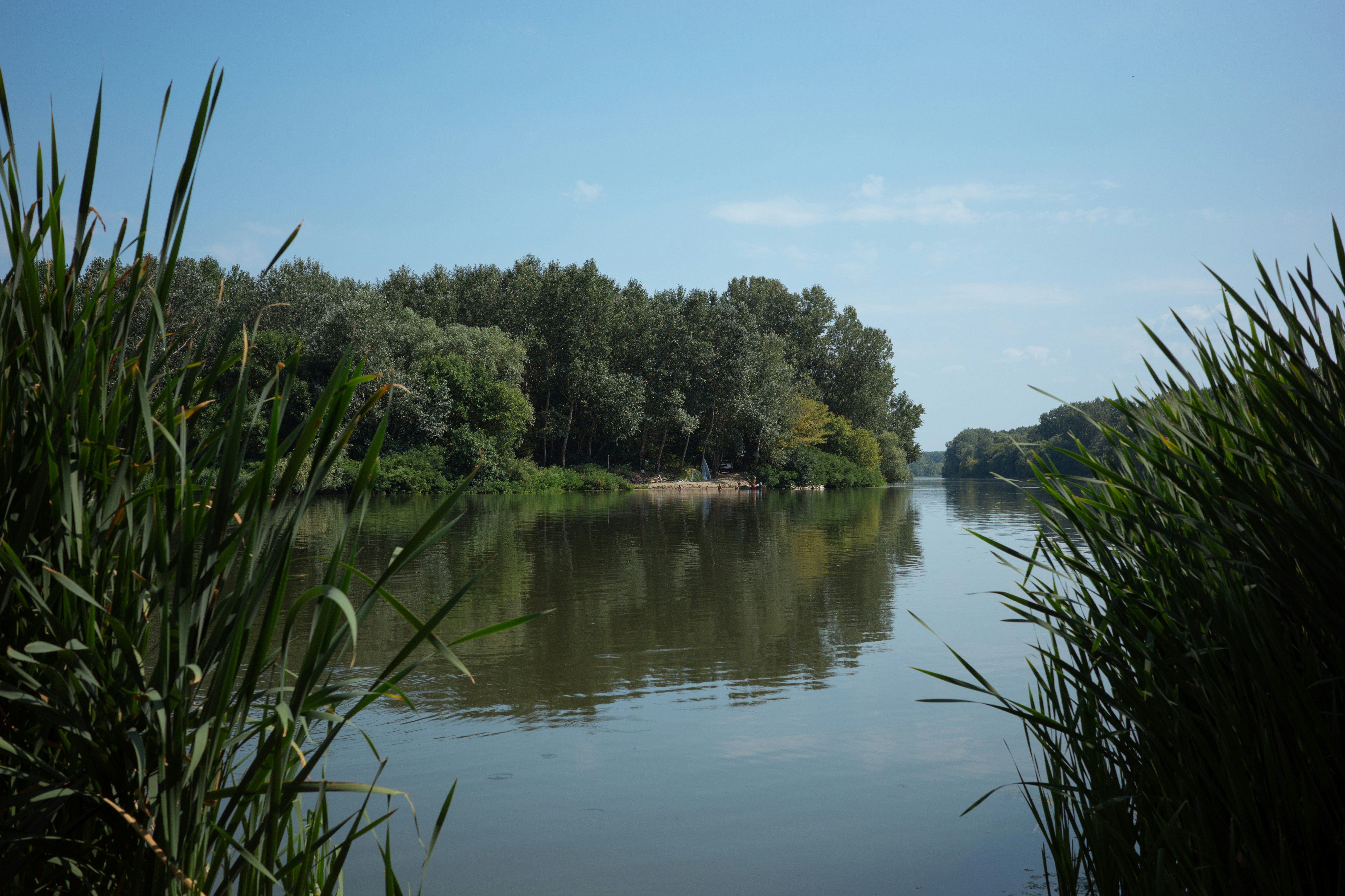River’s Quiet Center: A Riverside Sunset in Reeds