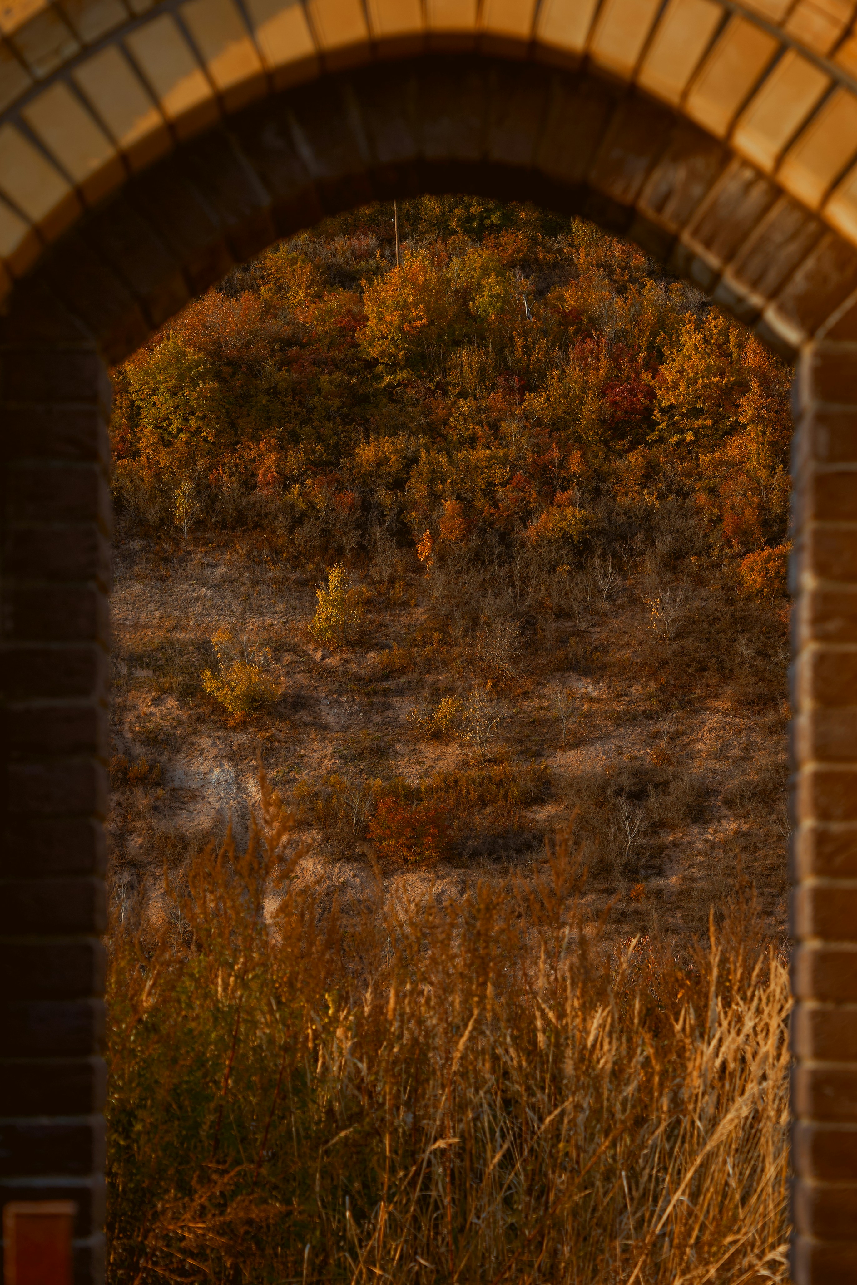 Autumn through the Brick Arch: Framing a Woodland Panorama
