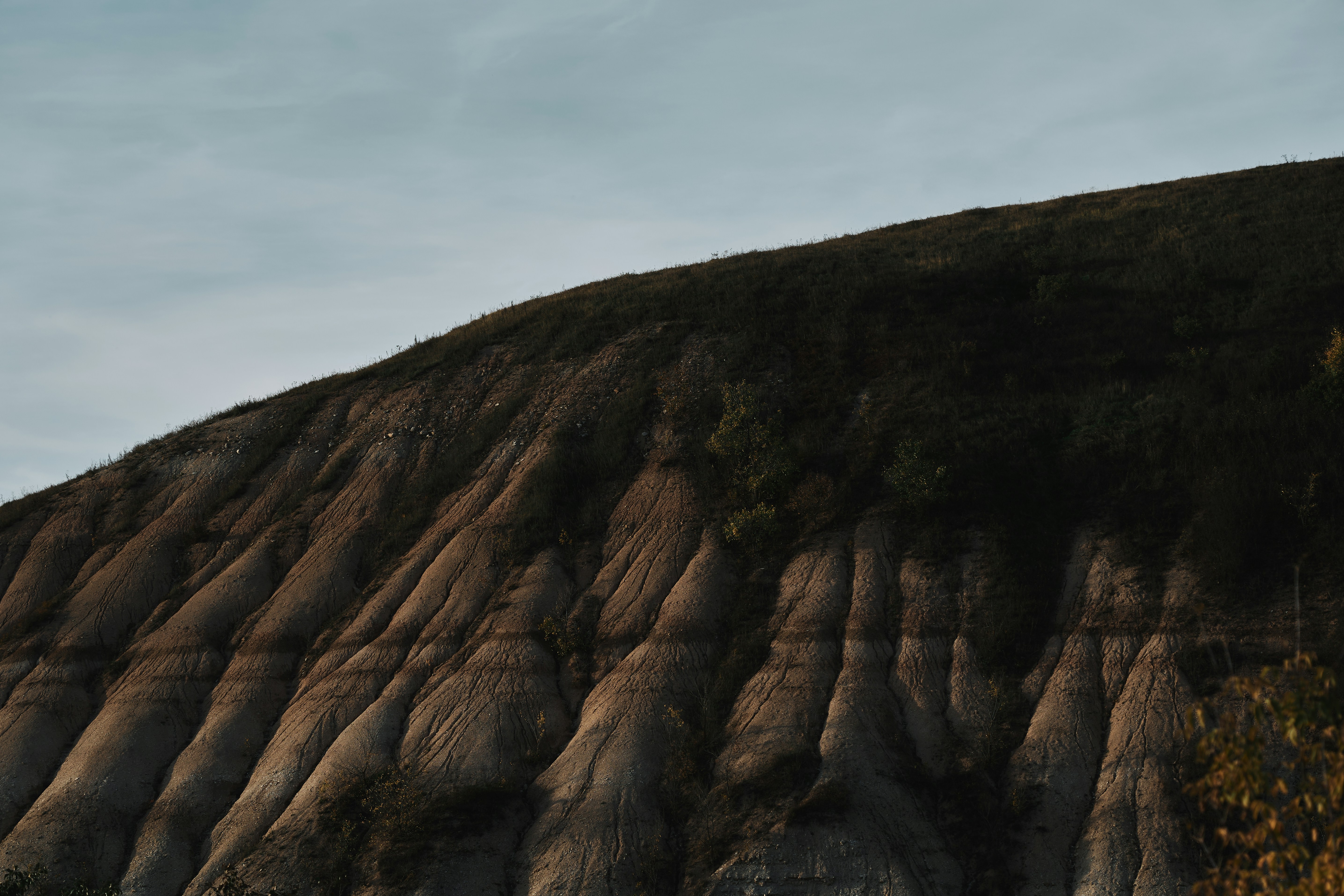Ridgework in soft evening light