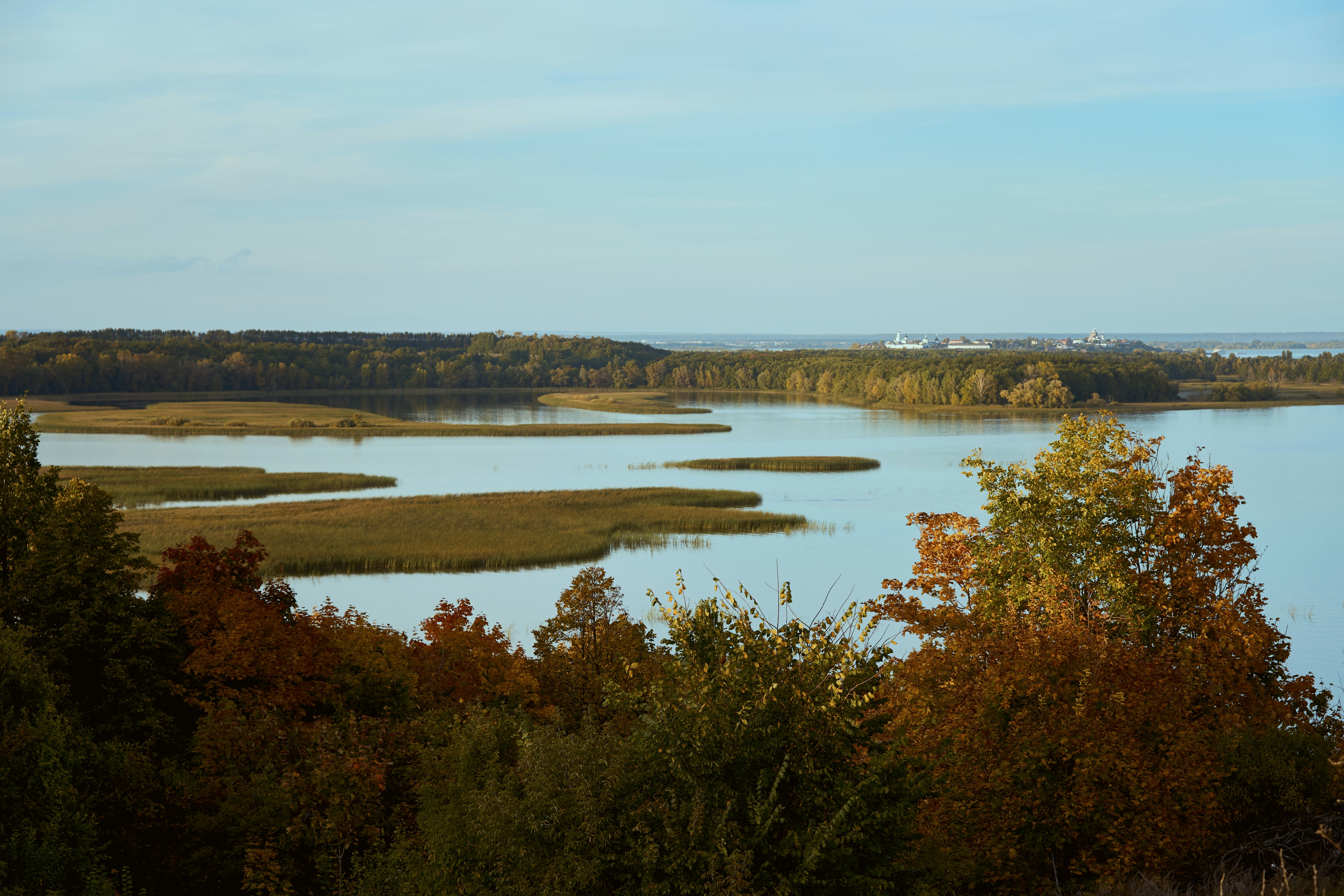 Autumn River Dunes: A Quiet Convergence of Water and trees