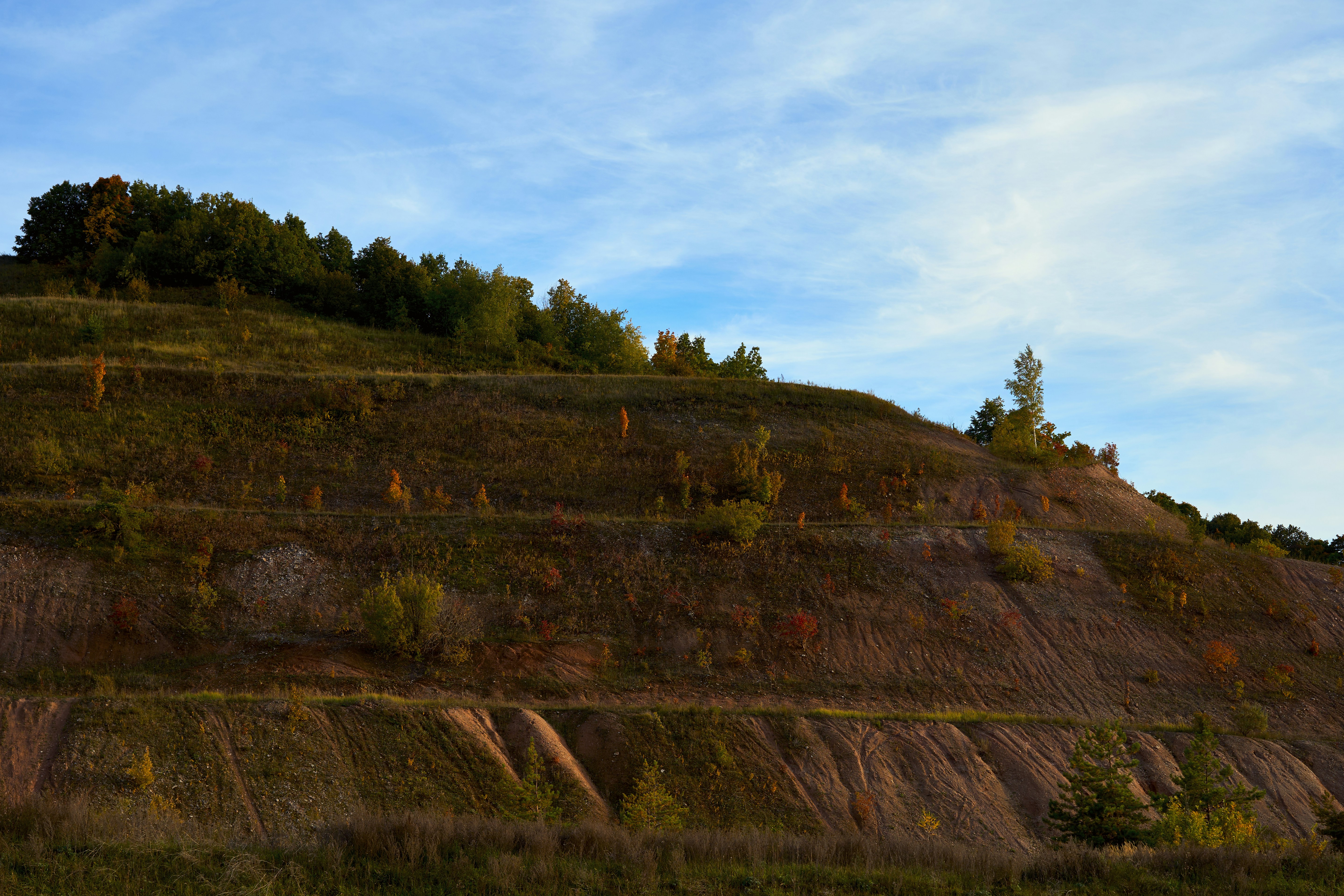 Cliffside Orchard: Autumn Echoes Across the Slope
