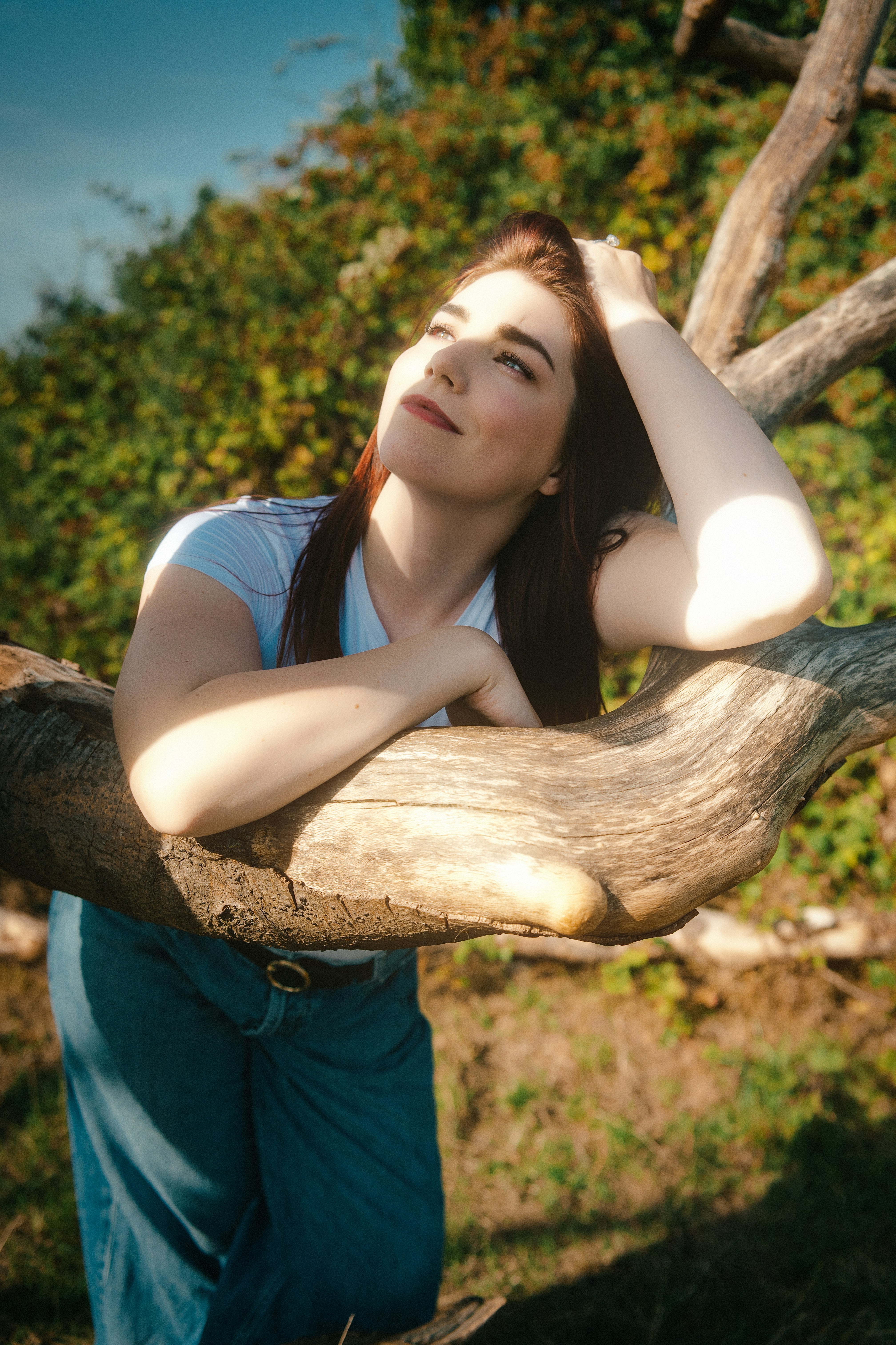 Sunlit Contemplation on a Curved Branch
