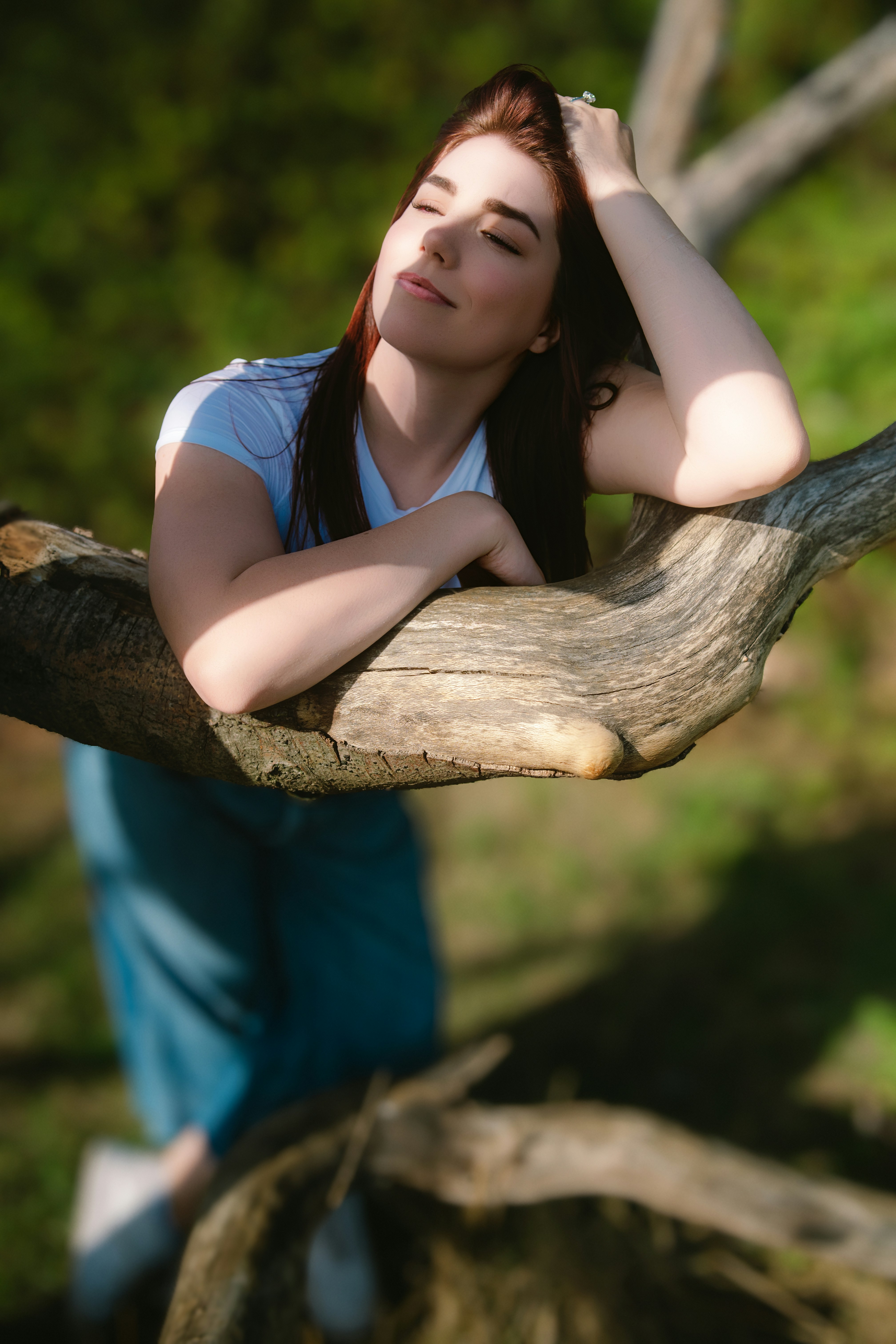 Sunlit Reverie on a Tree Arm
