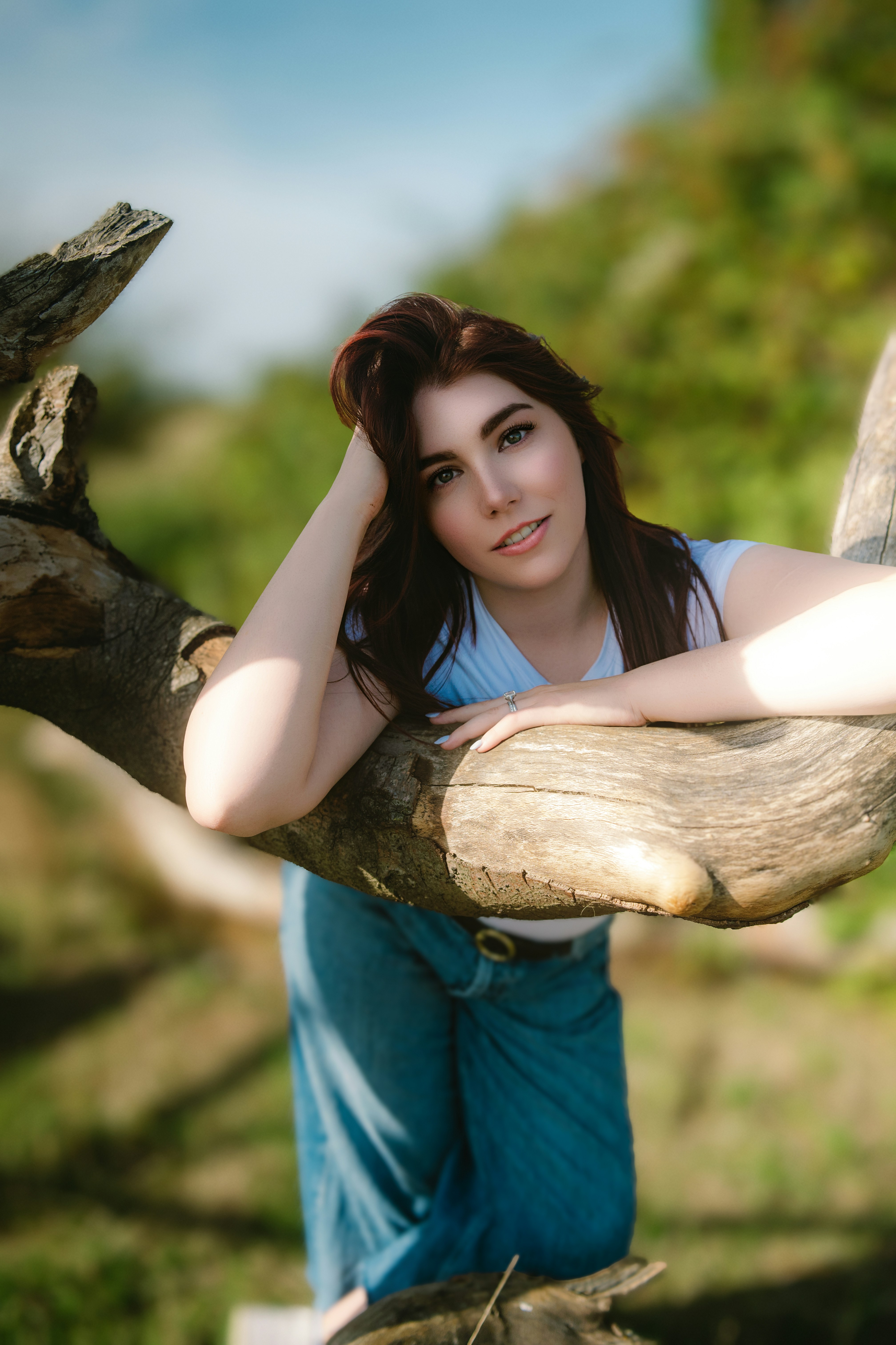 Graceful Gaze Across a Sunlit Branch