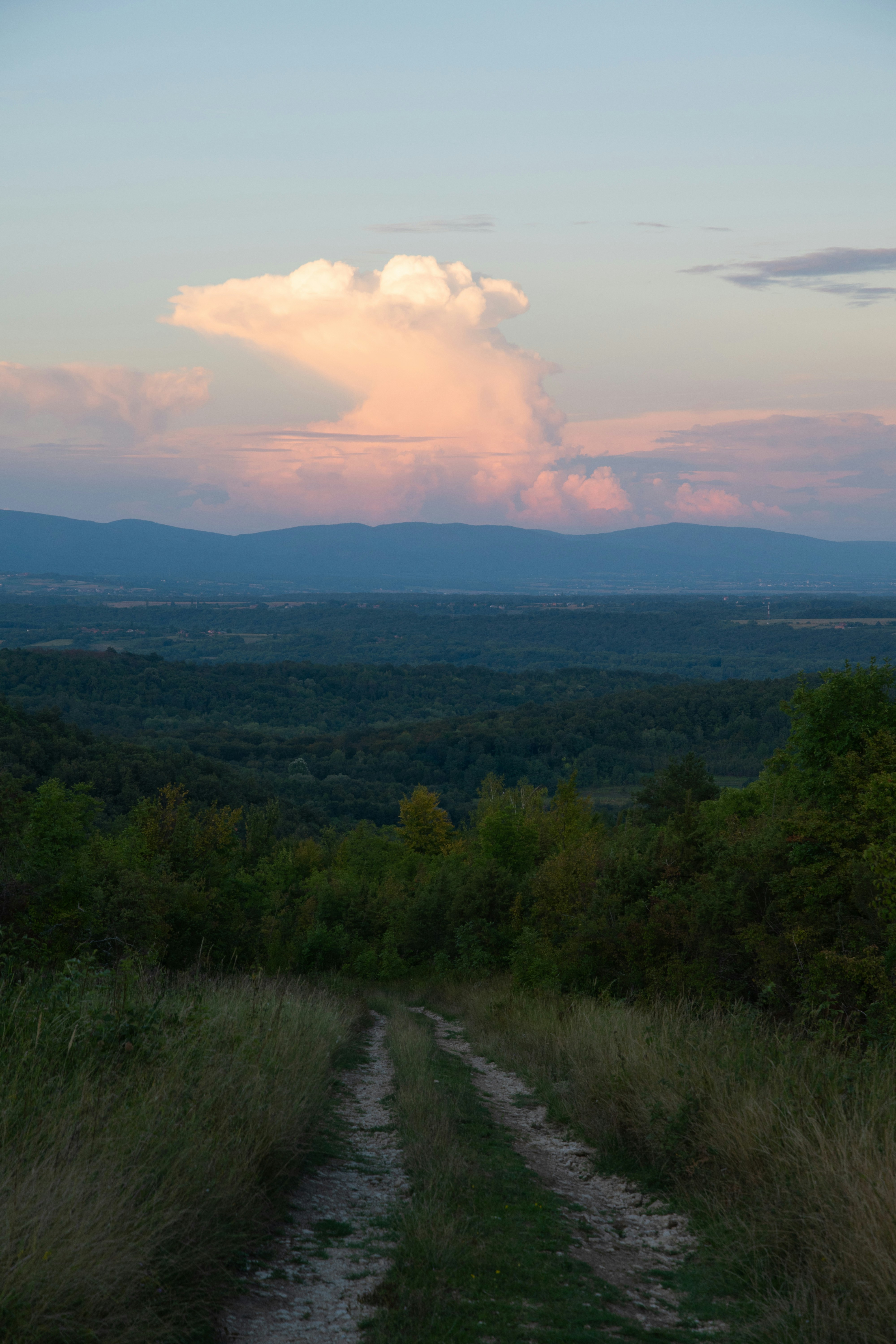 Path to the Horizon: A Quiet Ascent Through Tall Grass