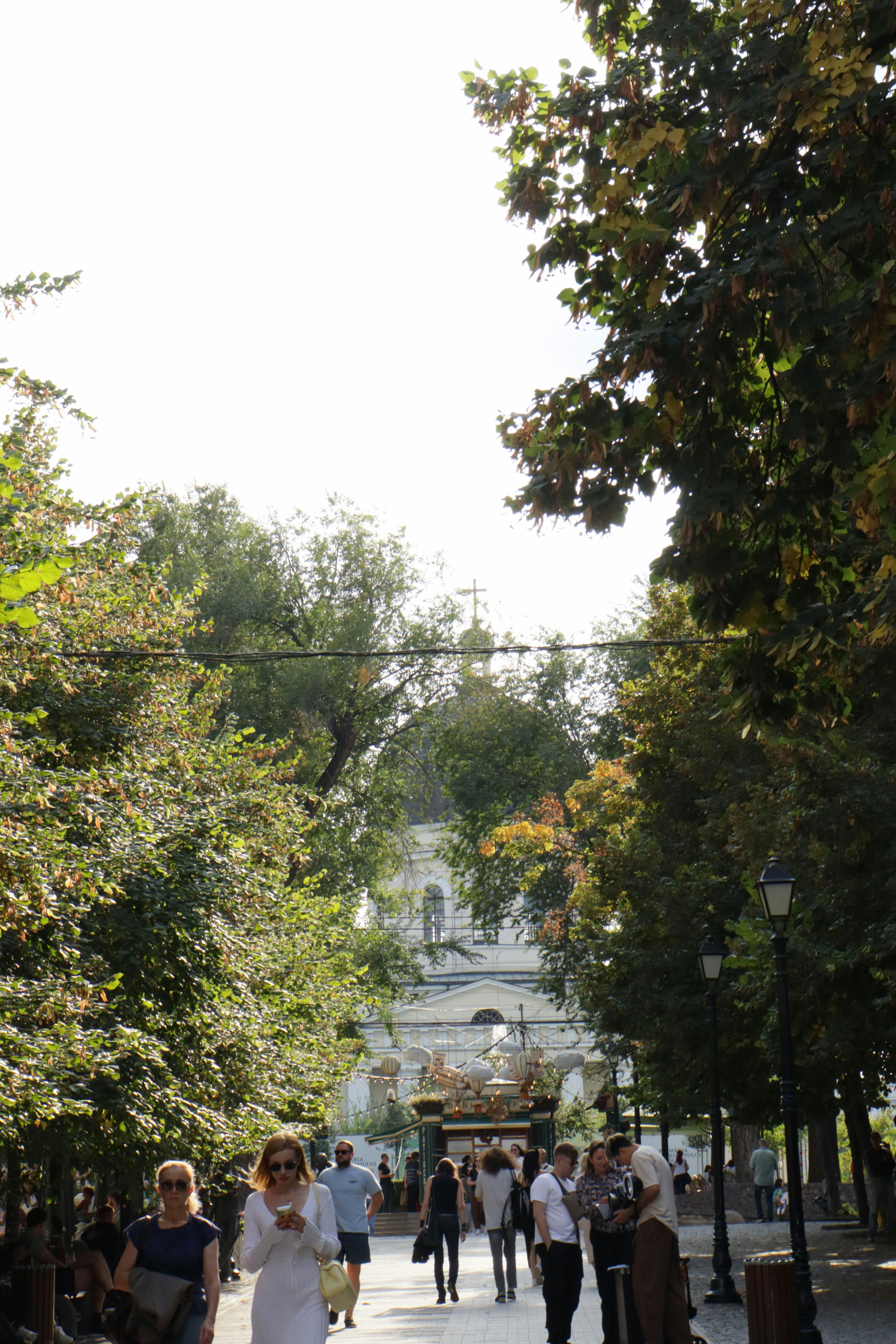 Sunlit Boulevard: People Walk Through a Shaded Campus Path