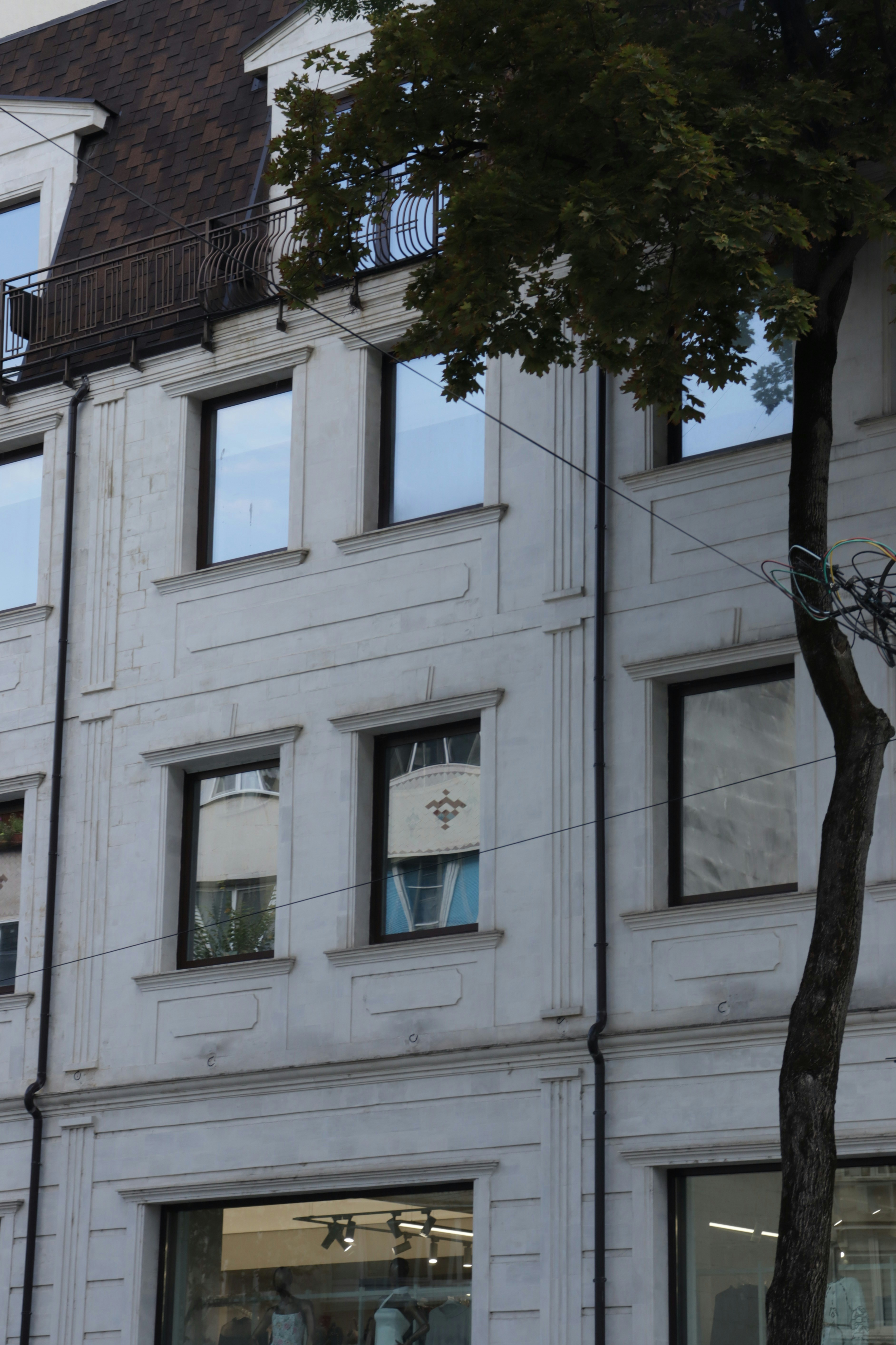 Facade Lines and Leafy Canopy: An Urban Study in Light and Shadow