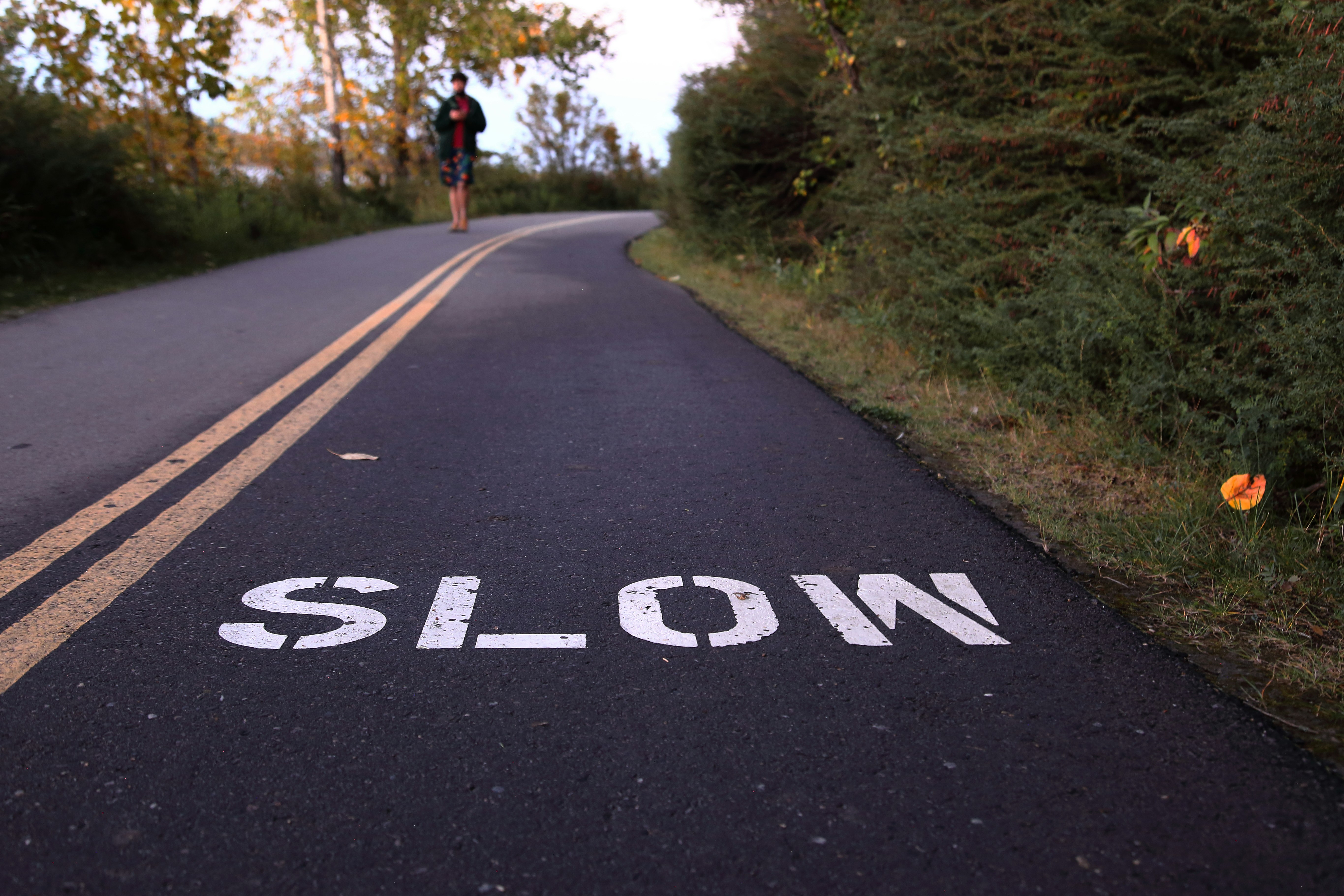Slow Road, Fast Steps: A Lone Hiker on the Painted Path