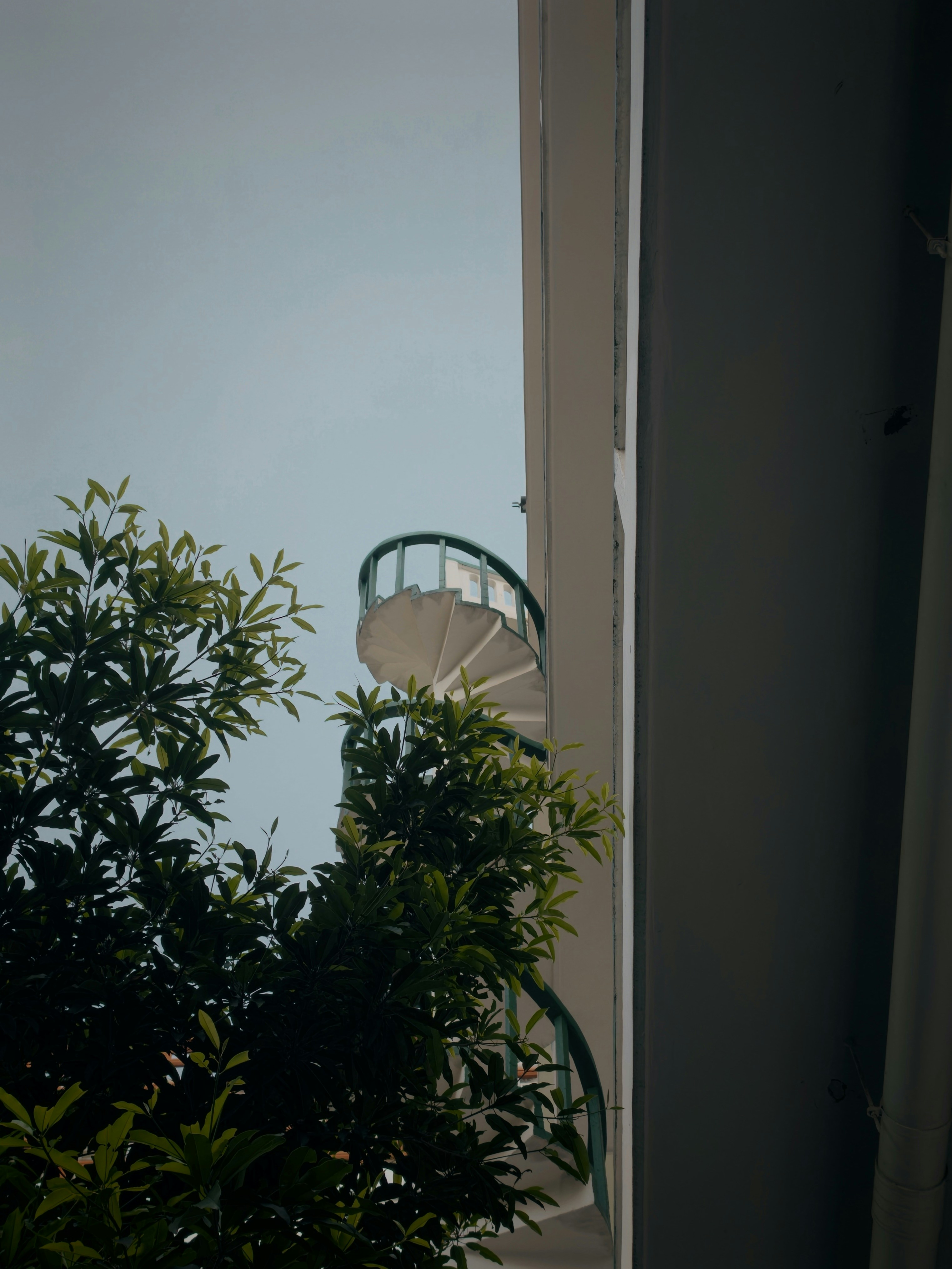 Terraced Balcony Gaze: Greenery Framing a Quiet Exterior Stair