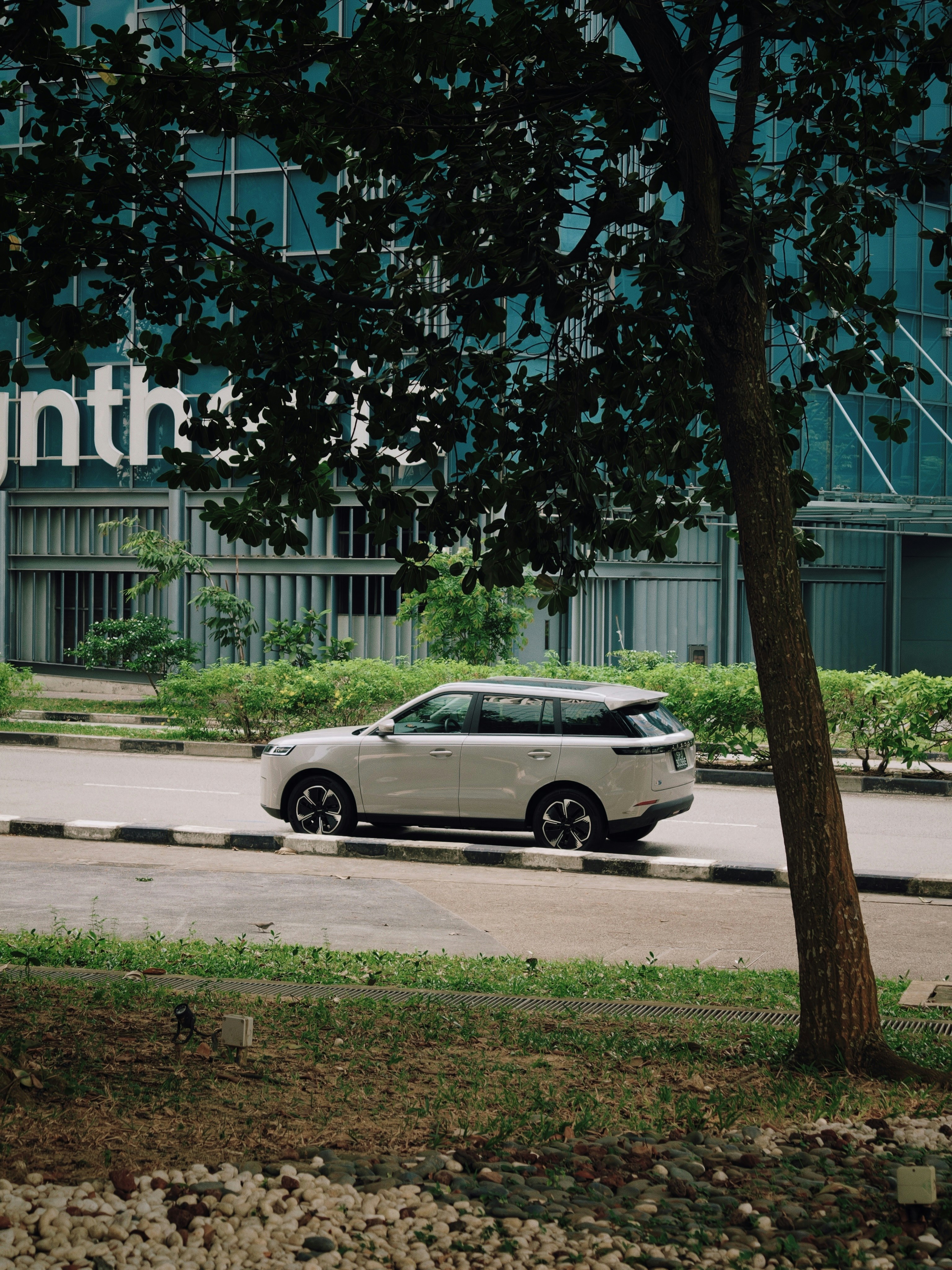 SUV on a city avenue framed by a shadowed tree and modern glass facade