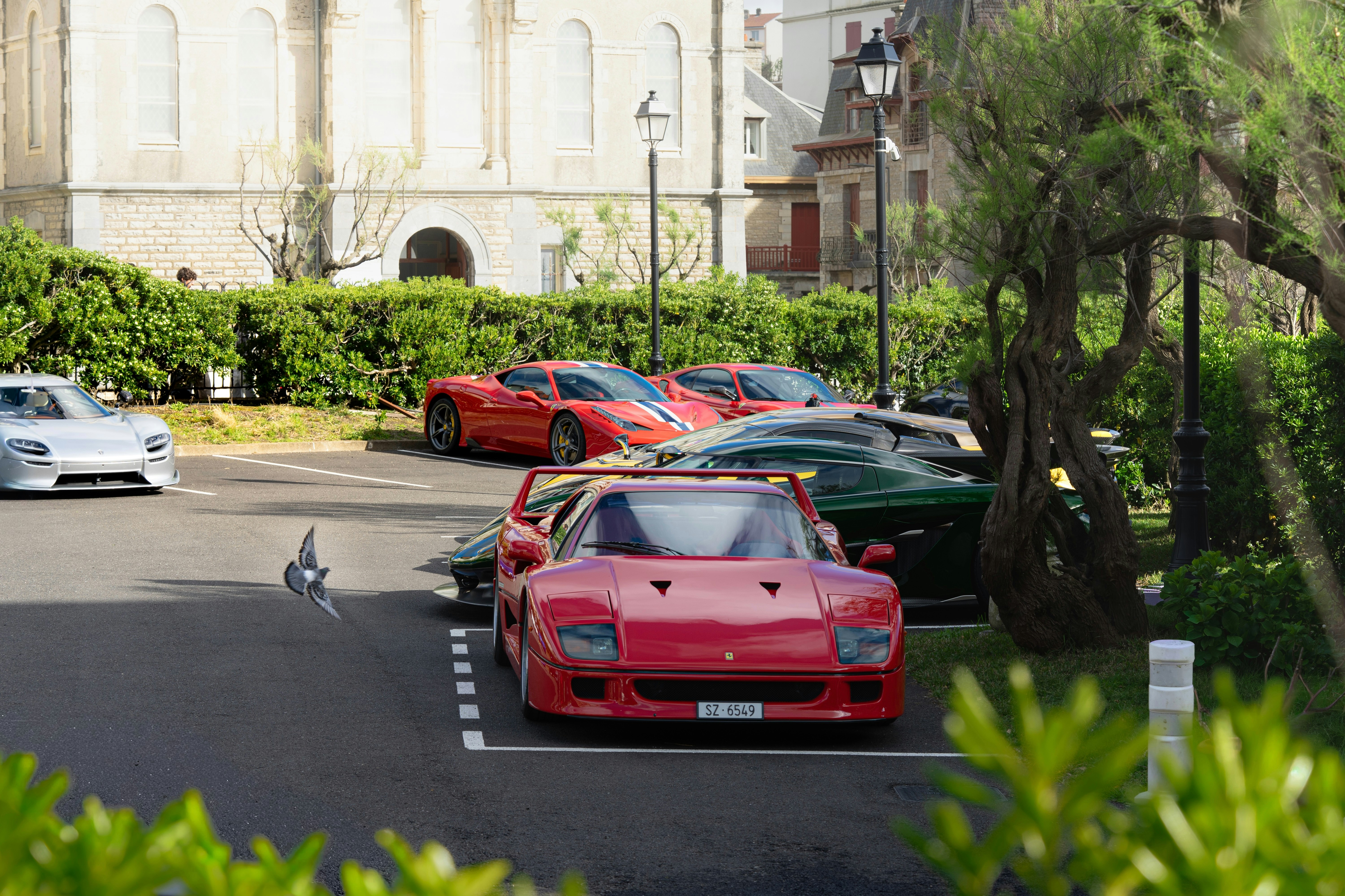Red Treasure in the Courtyard: A Lineup of Exotica