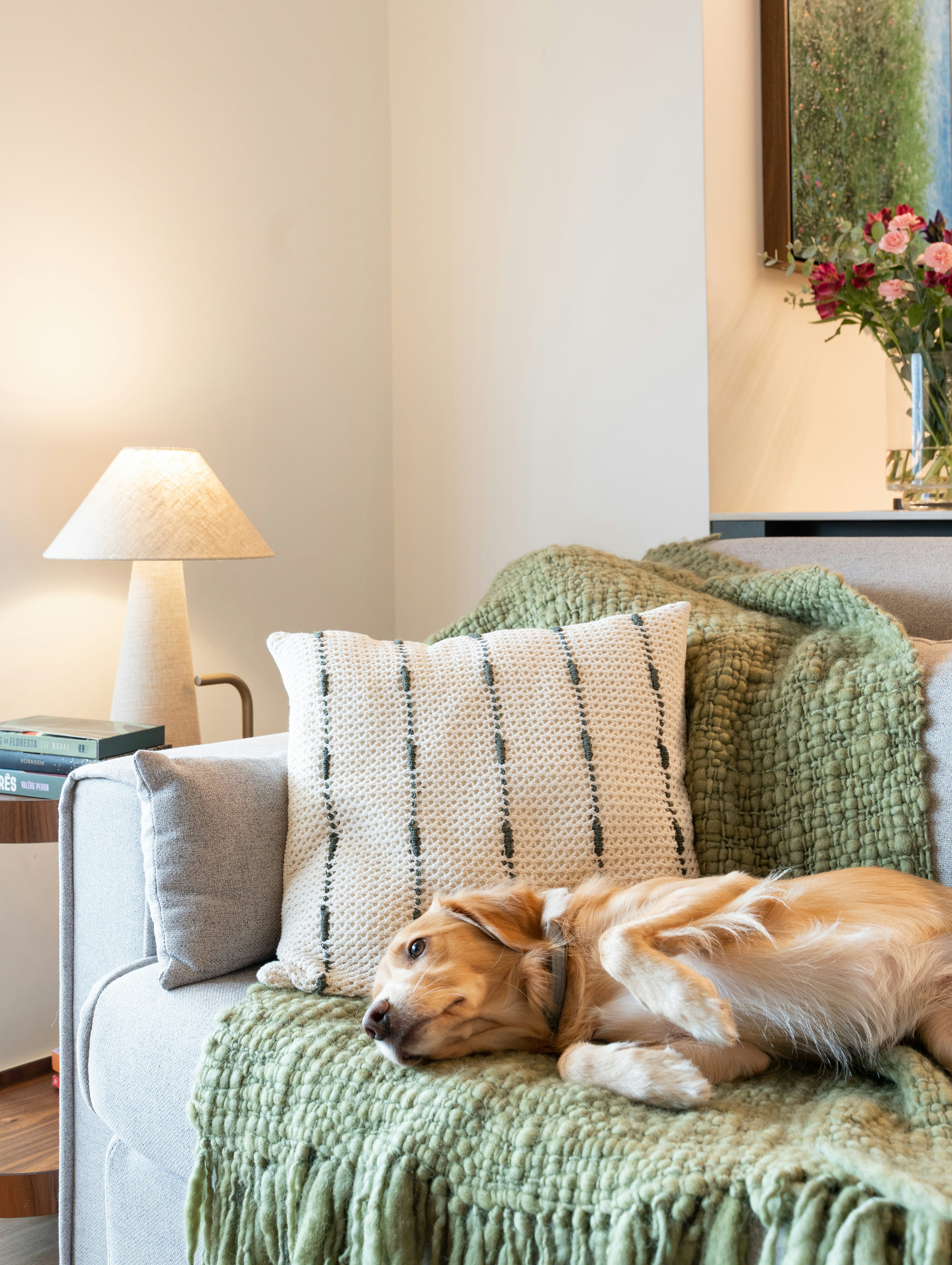 Golden retriever-like dog resting on a textured green throw in a softly lit living room with a lamp, pillows, and a vase of flowers in the background. This is a candid interior scene showing home decor and a pet.