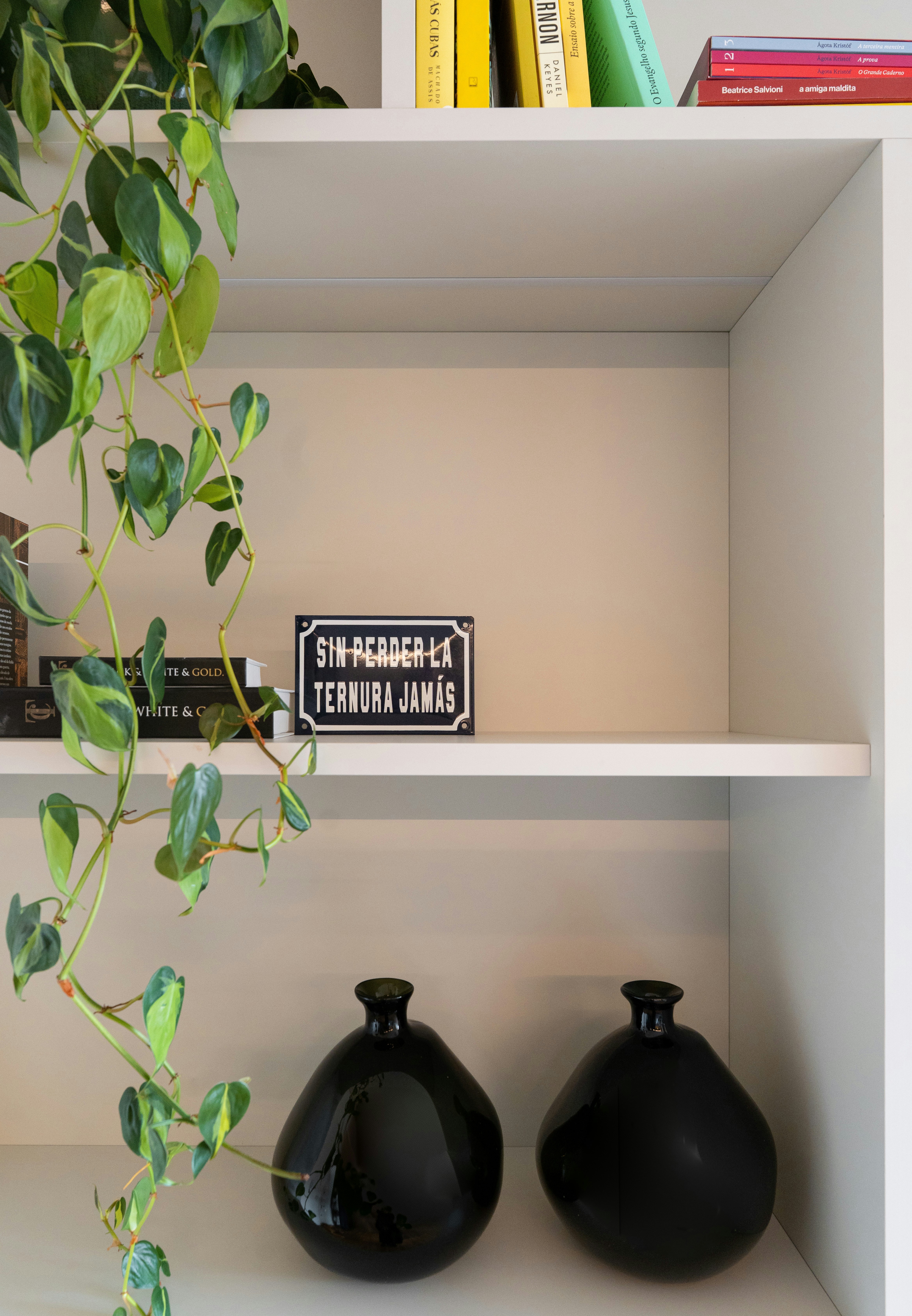 Green Vines and Black Orbs: A Quiet Shelf Scene