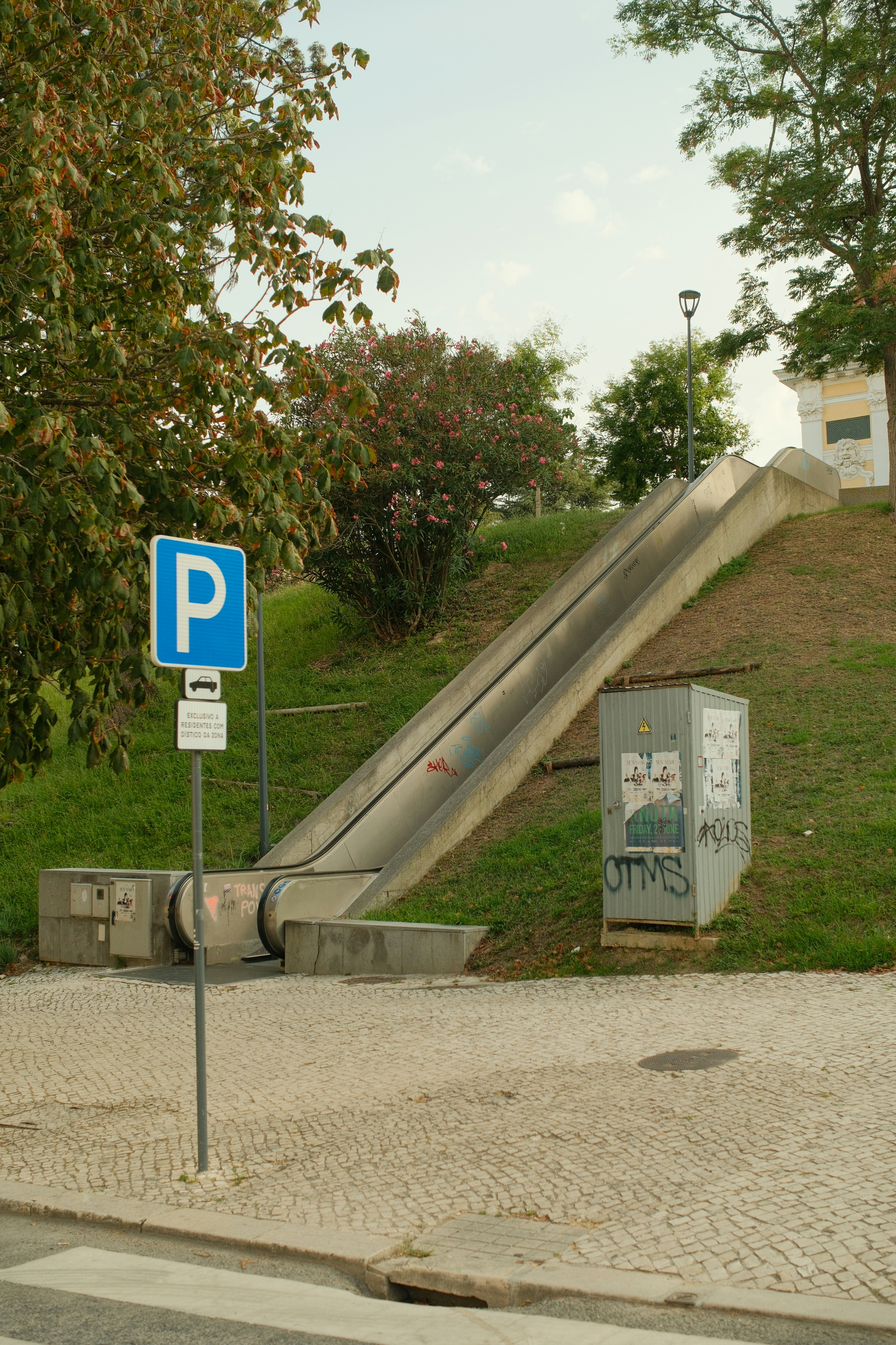 Escalator to the Park: A Quiet Urban Moment