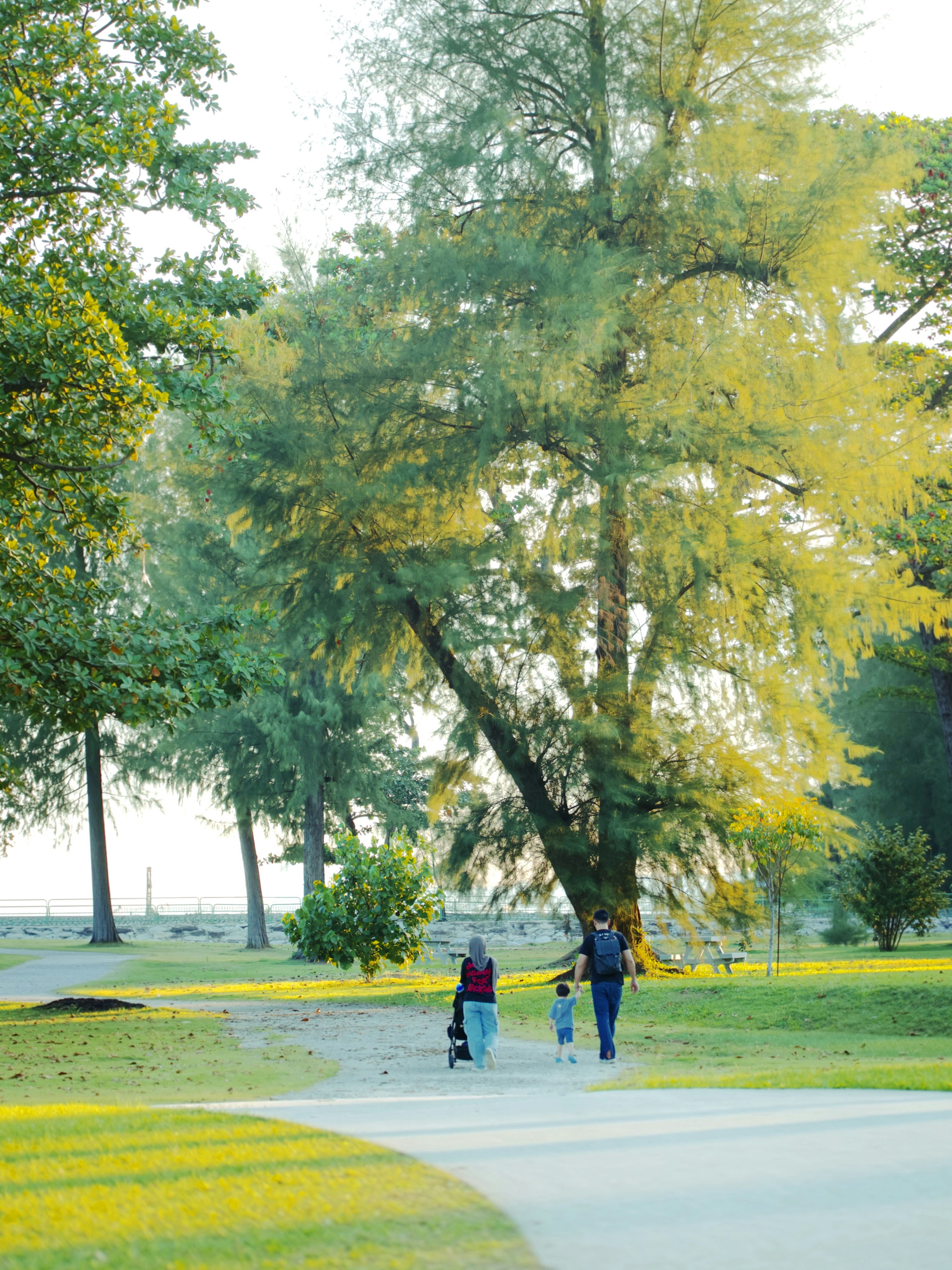 Family Stroll Beneath a Glowing Autumn Canopy
