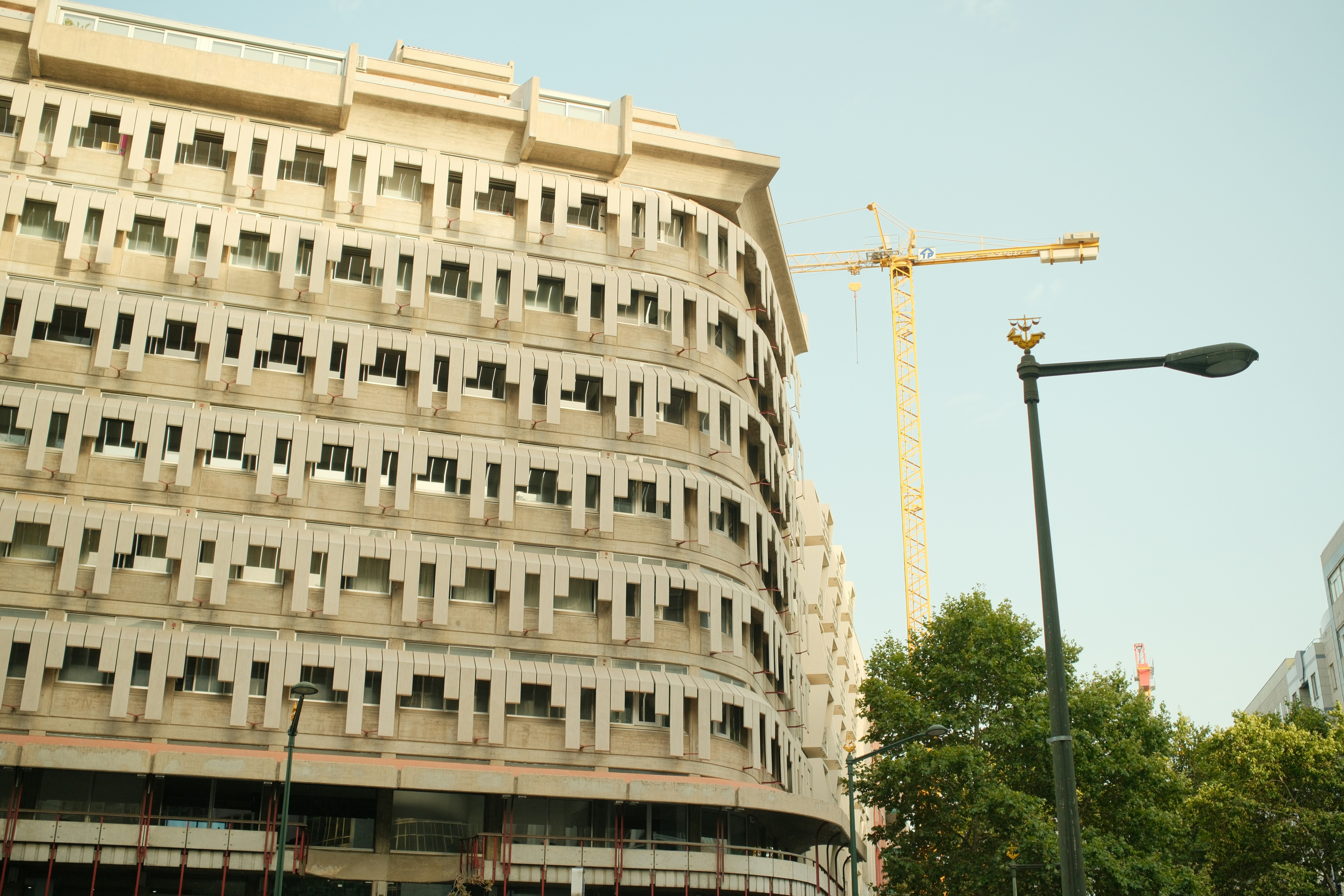 Under Construction: A Modern Skeleton Rises beside a Quiet Street