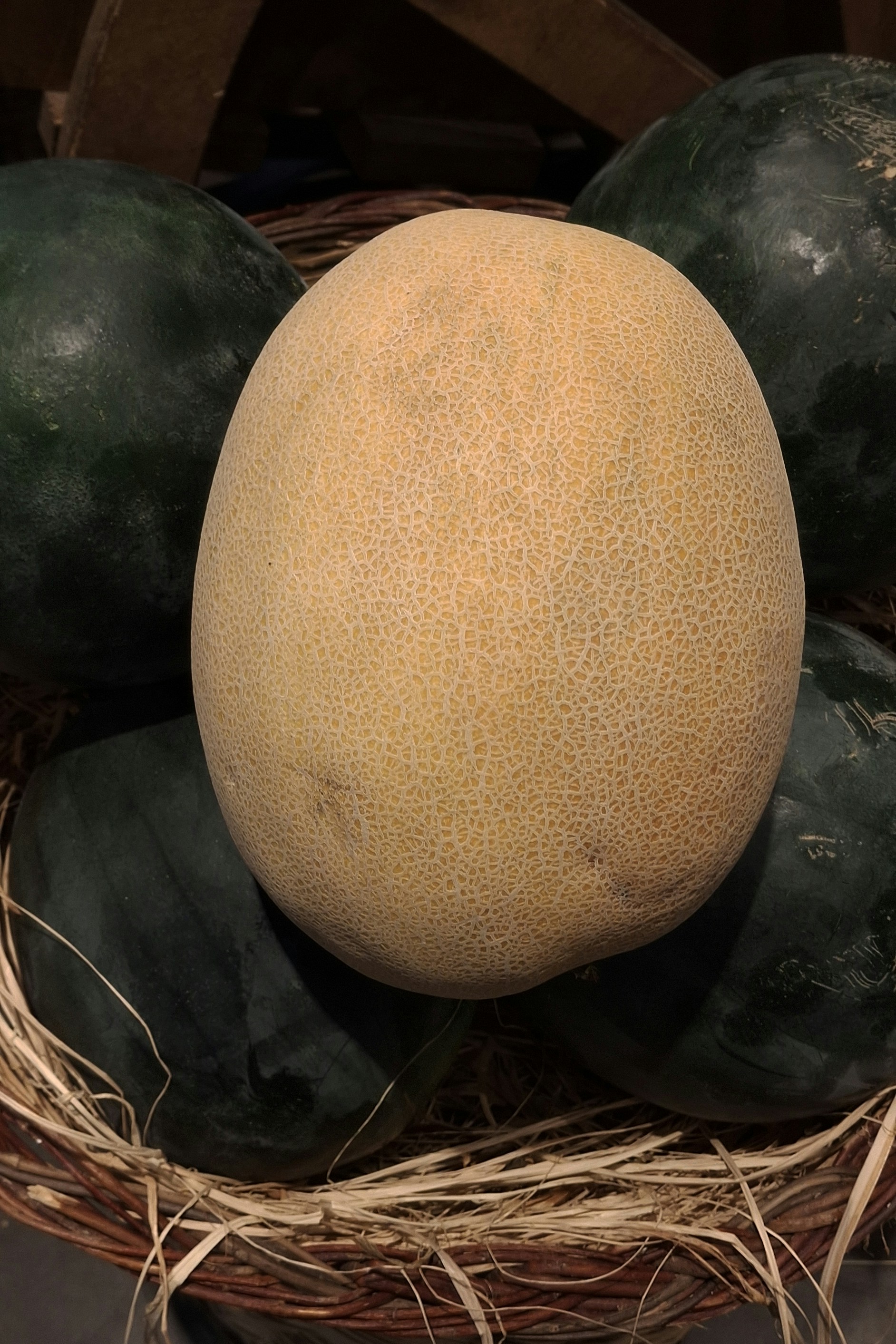 Ripe melon in a market produce section