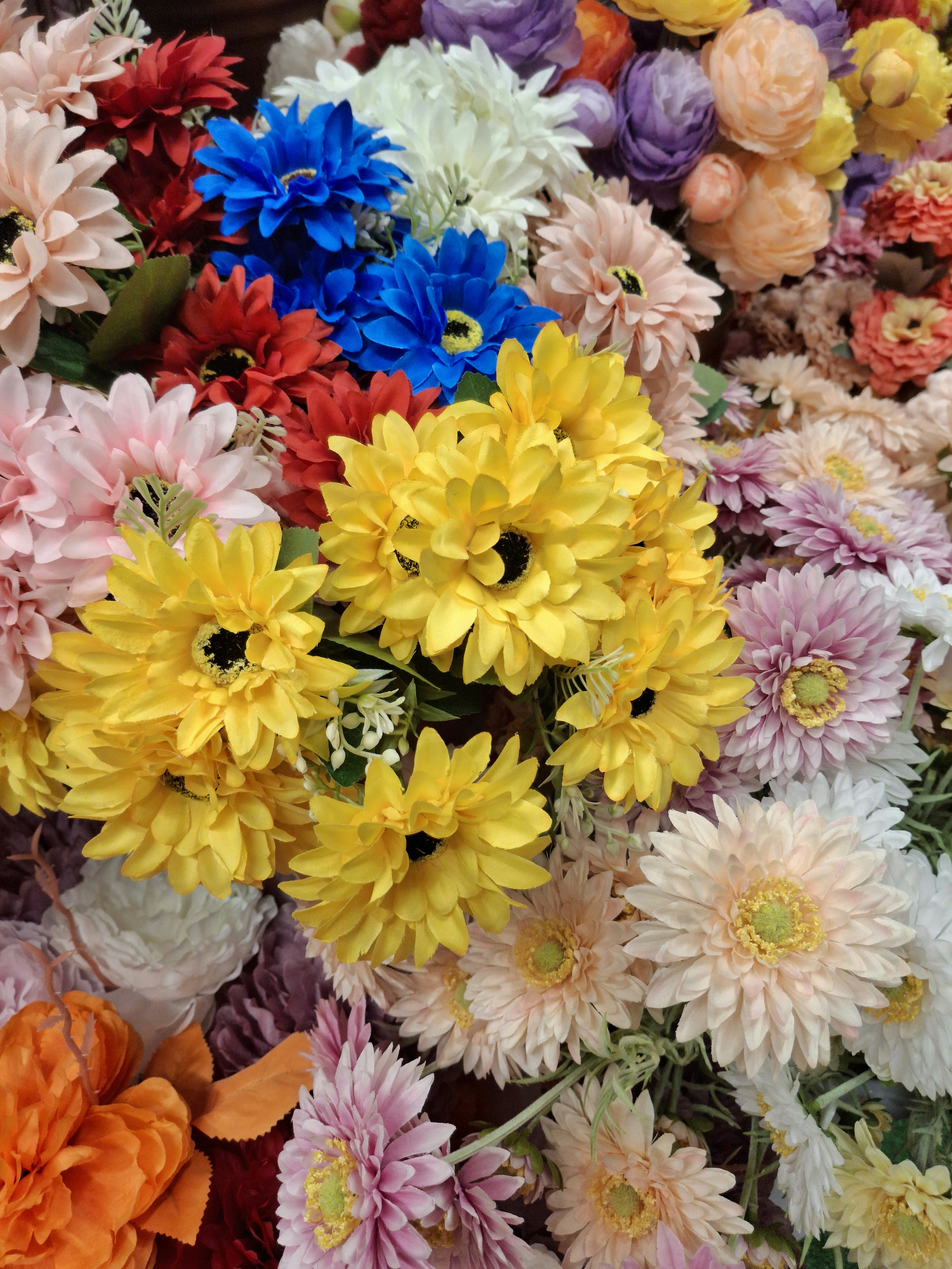 Vibrant cluster of chrysanthemums in yellows, pinks, blues, and purples fills the frame, showcasing rich petal textures and dense floral layering.