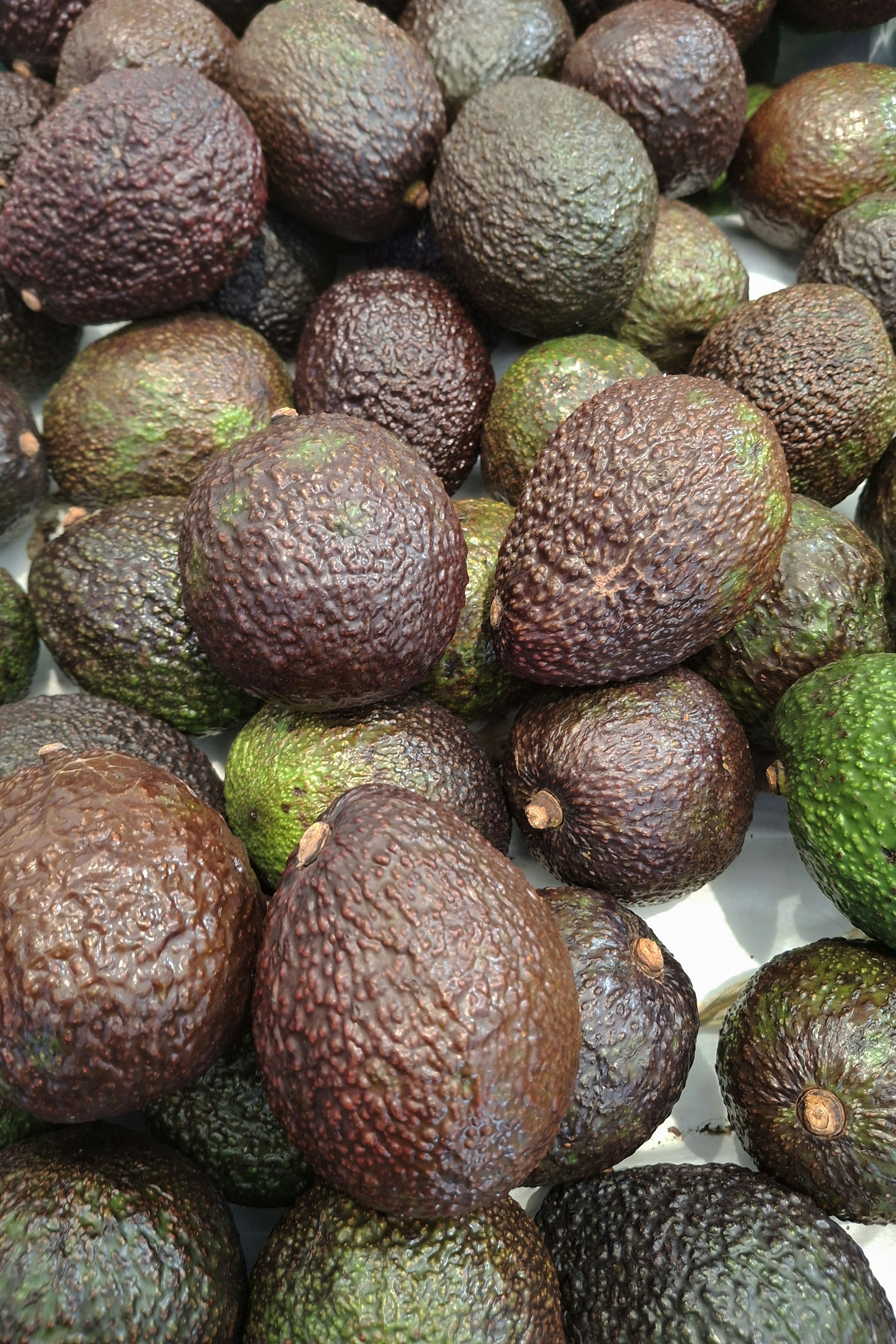 A heap of avocados with dark, textured rinds and hints of green underside stacked together in bright light. This is a still-life photograph.