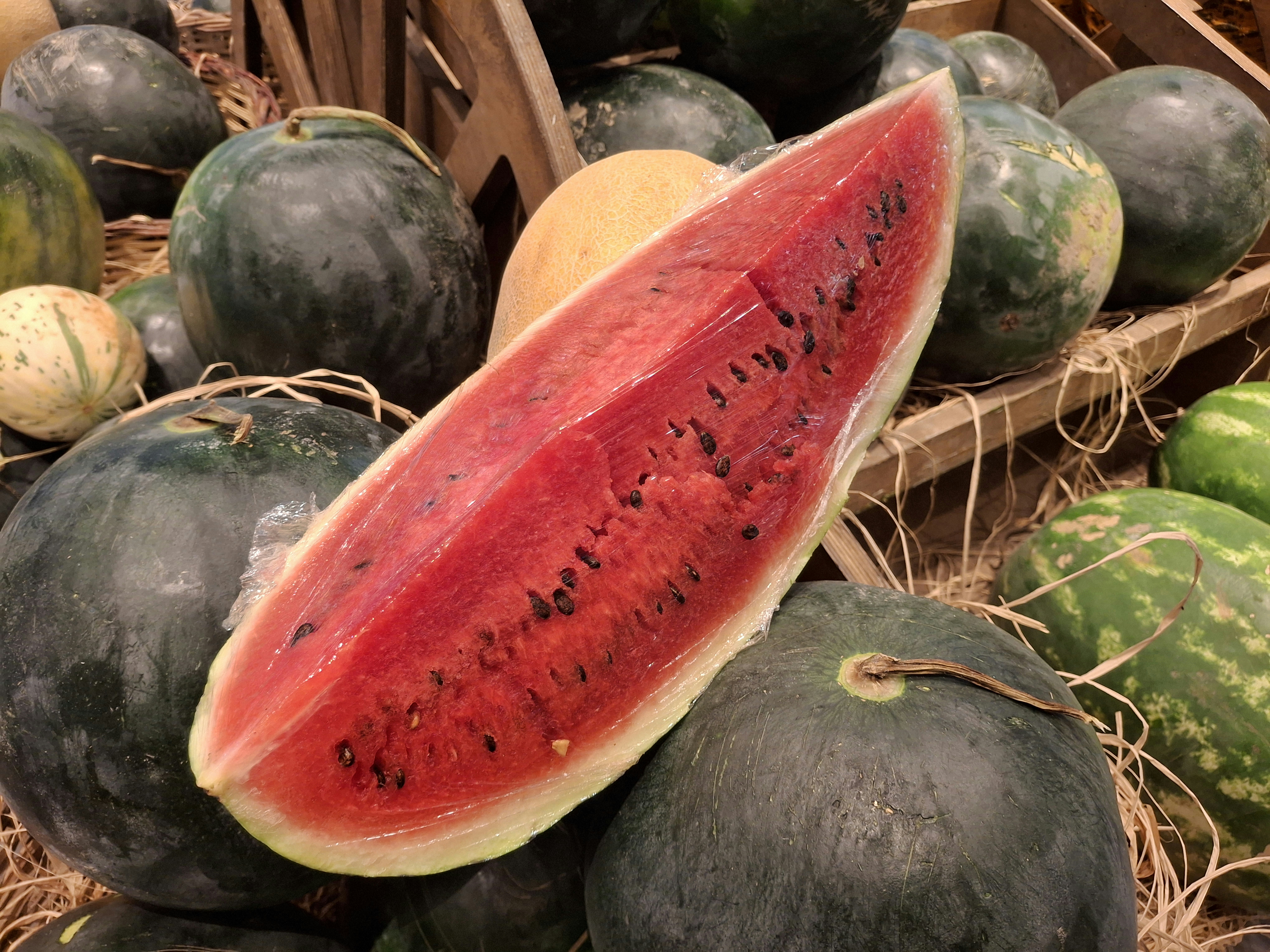 Slice of Summer: Red Ruby Amid Dark Green Groves